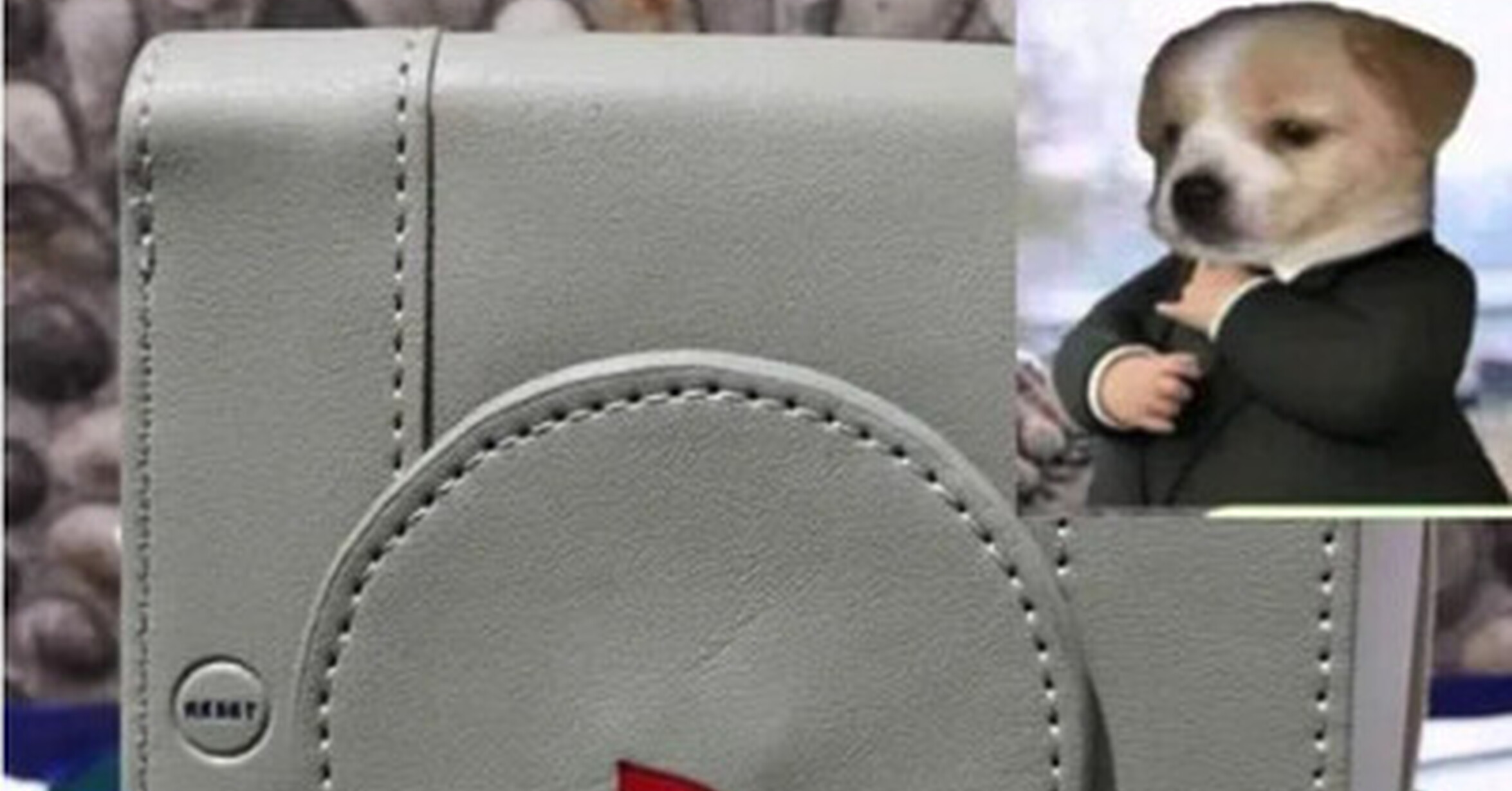 Cuánto cabrón / Necesito esa cartera