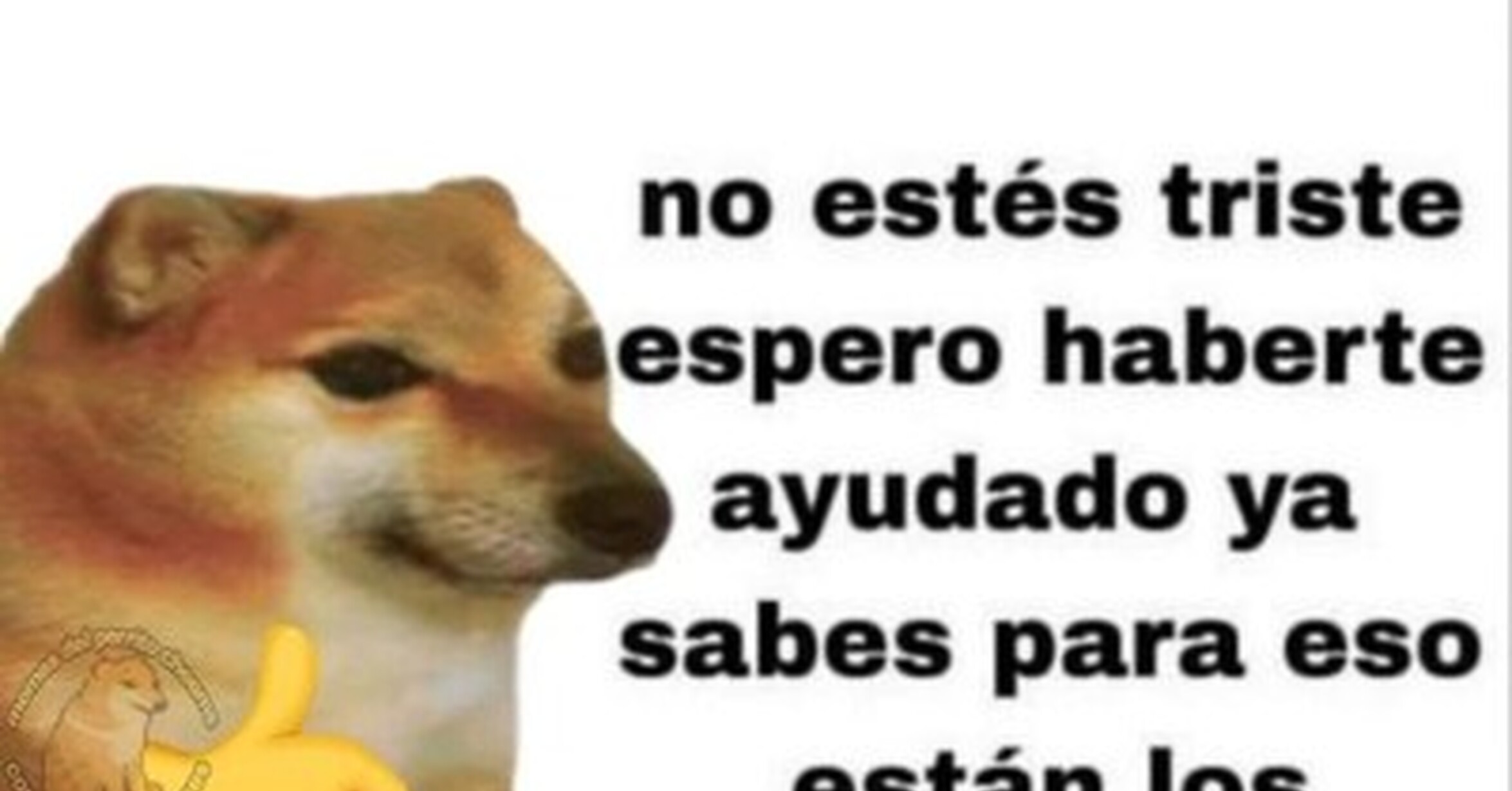 Animo Perro Meme