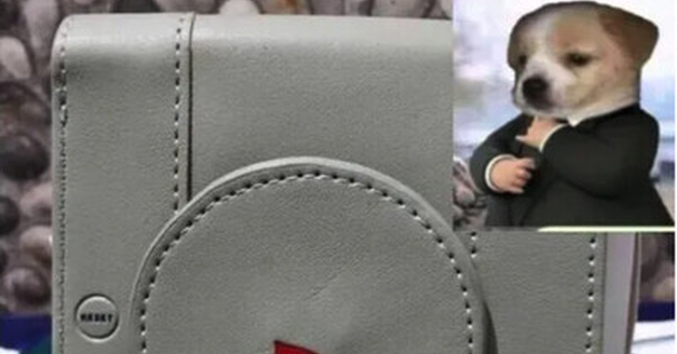 Cuánto cabrón / En realidad solo quería presumir de cartera