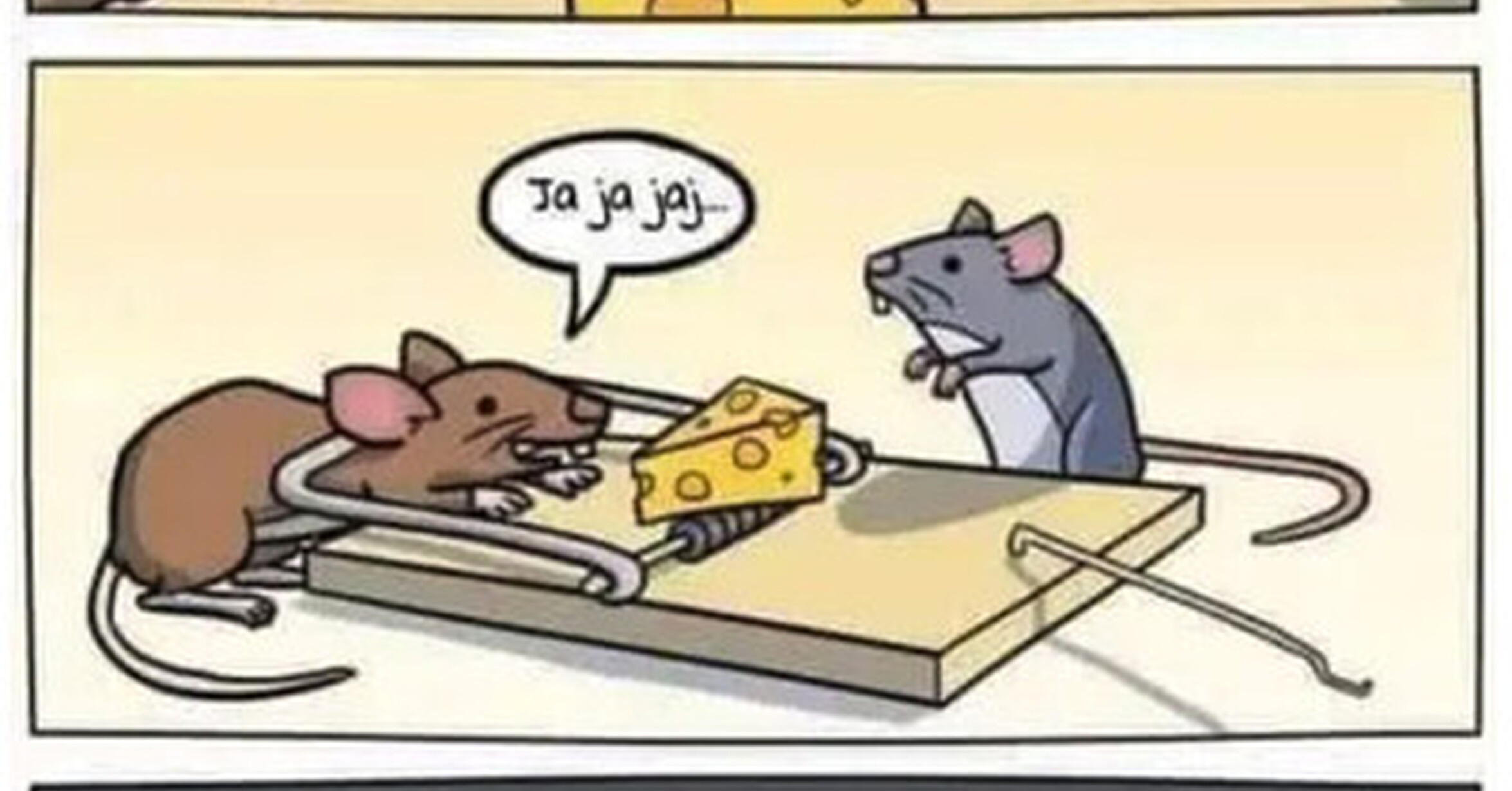 Cuánto cabrón / Queso trampa