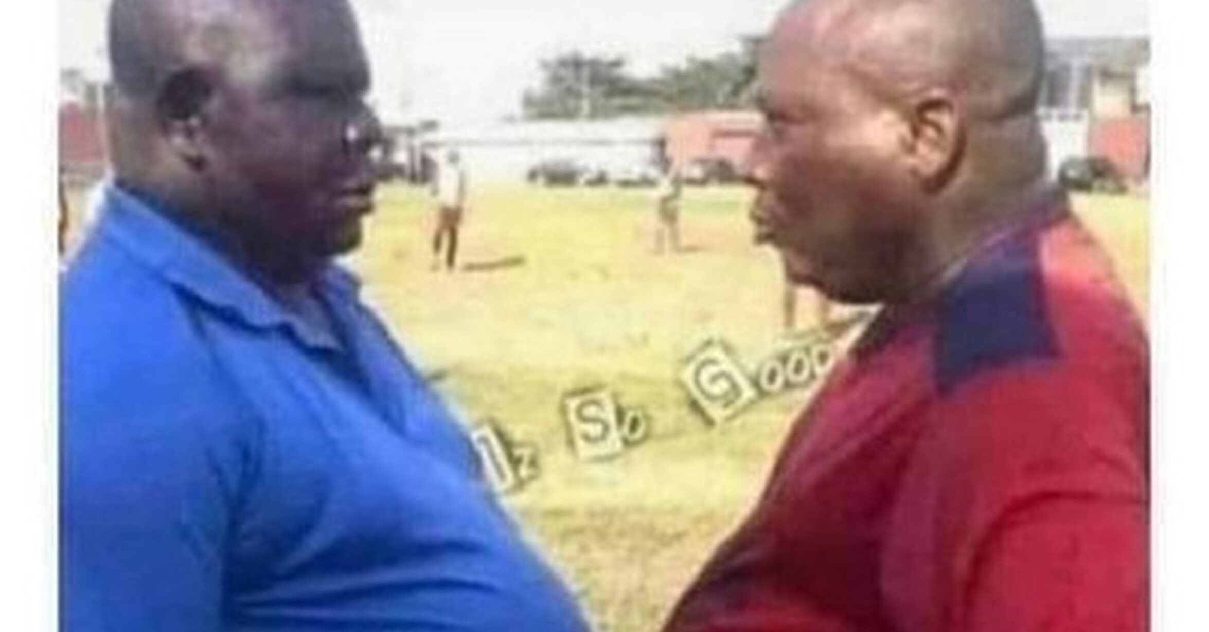 Cuánto cabrón / Se miran fijamente