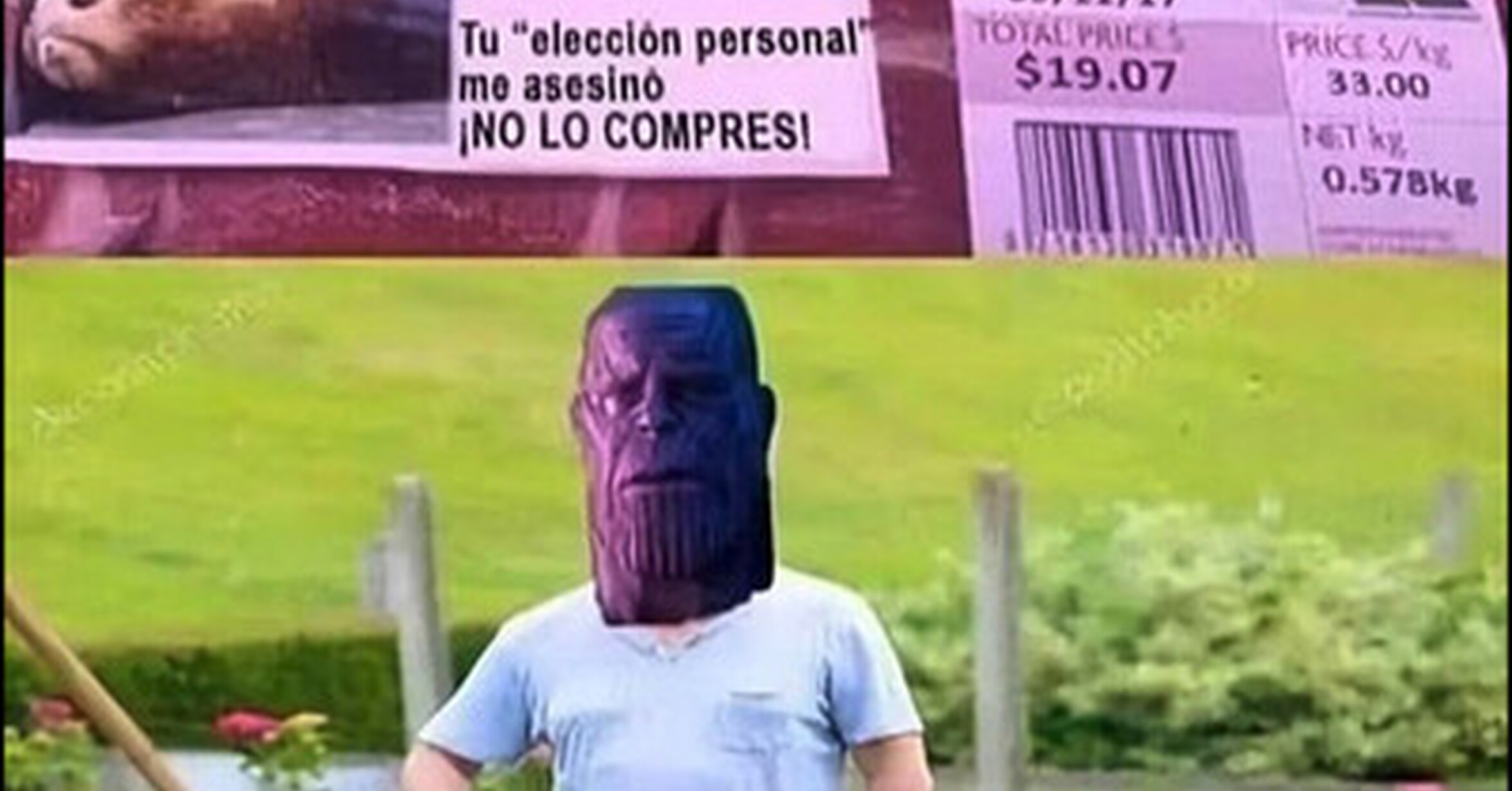 Cuánto cabrón / Es que Chloe está tan sabrosa...