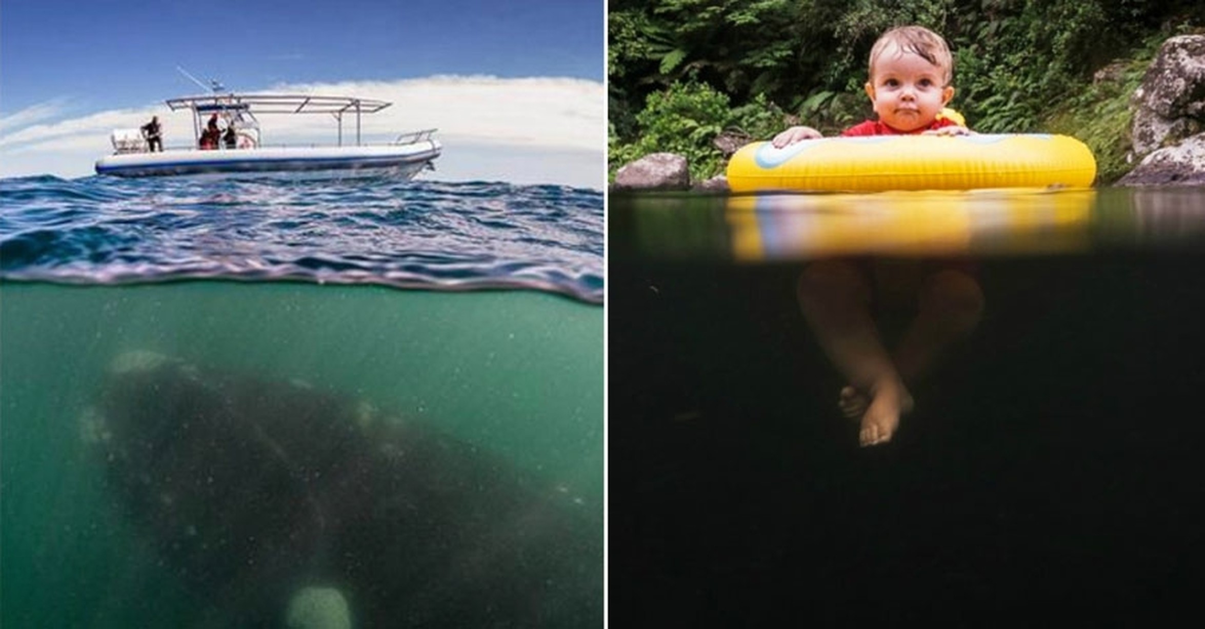 ¡Cuánta razón! / 17 imágenes que describen a la perfección lo que es ...