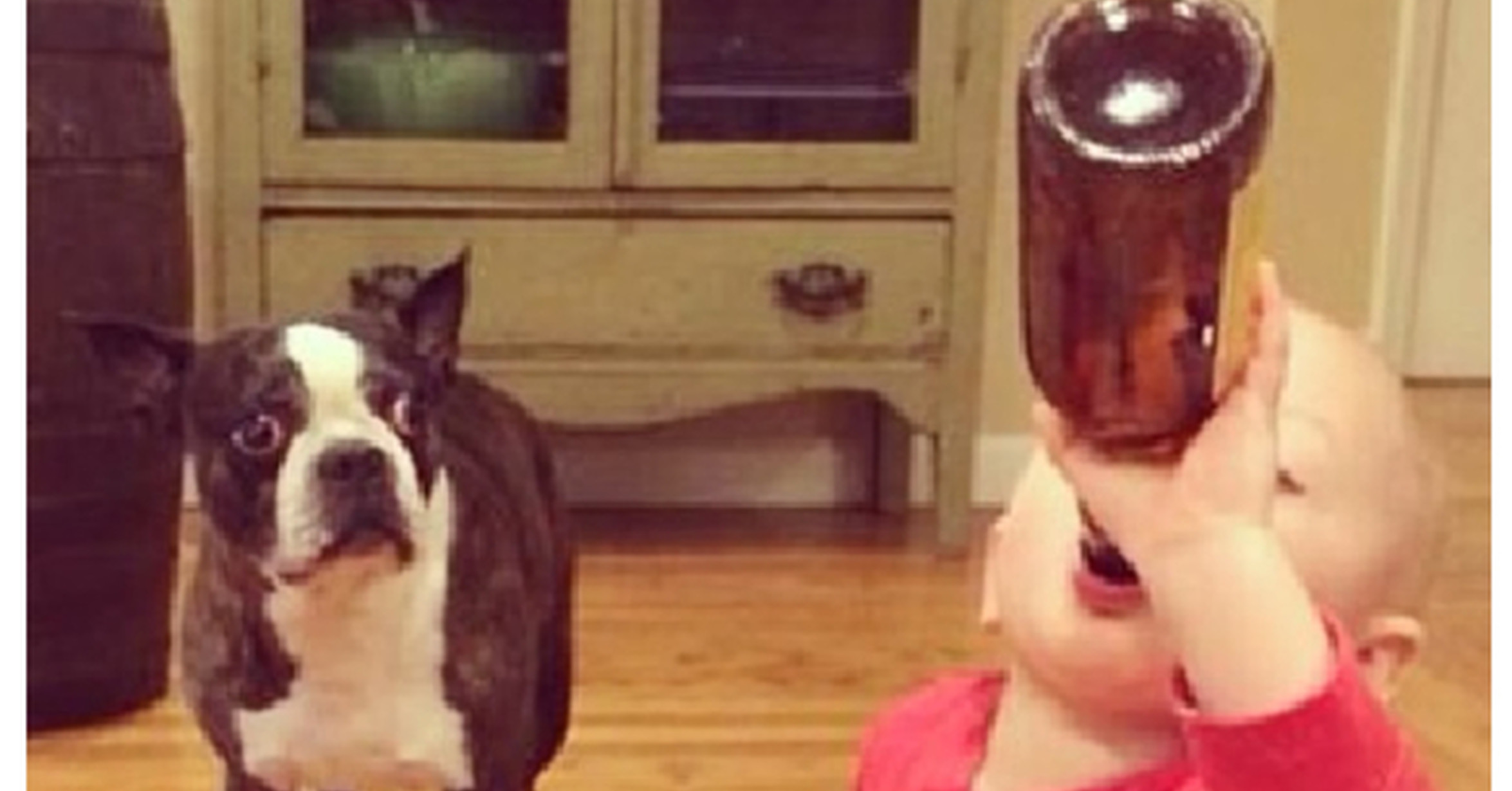 ¡Cuánta razón! / Timmy, no...