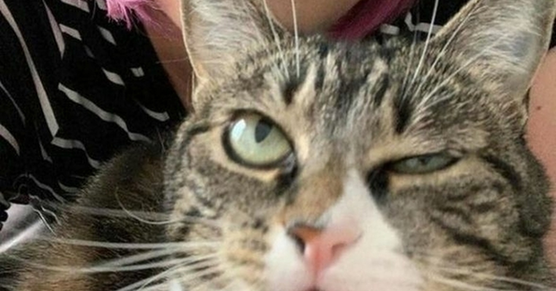 ¡Cuánta razón! / La cámara lo adora