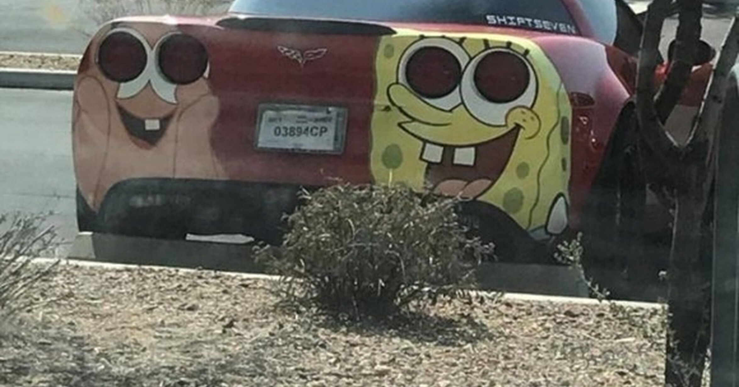 ¡Cuánta razón! / Fan de Bob Esponja