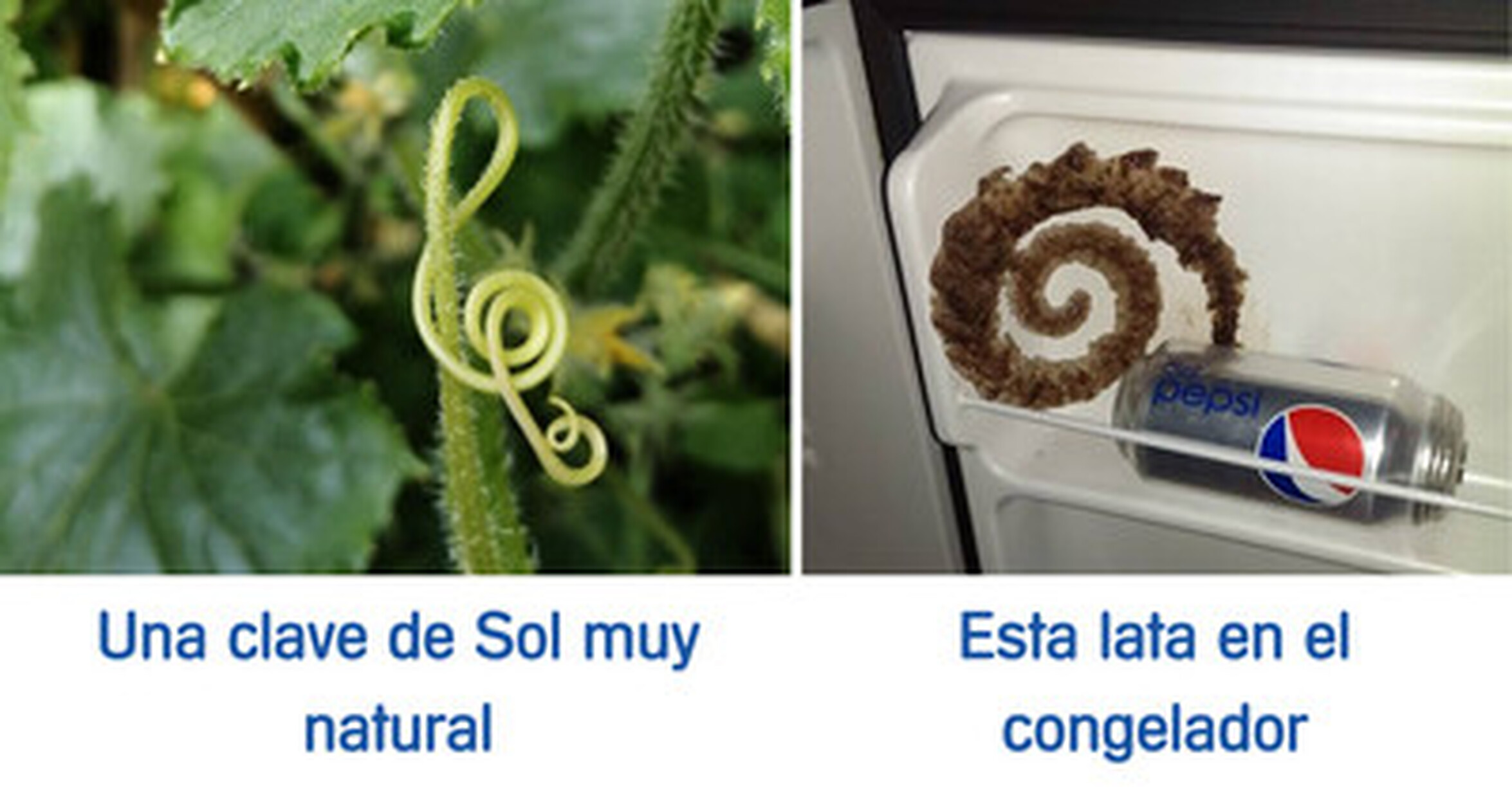 ¡Cuánta razón! / Cosas extrañas e inesperadas que sucedieron de verdad