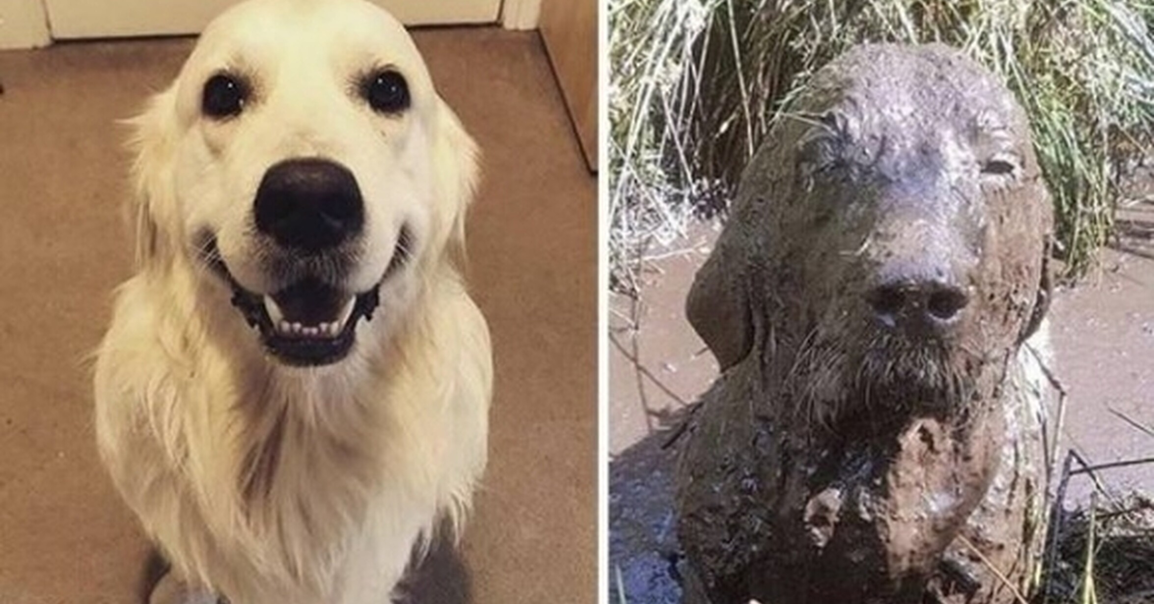 ¡Cuánta razón! / No te puedes enfadar con él