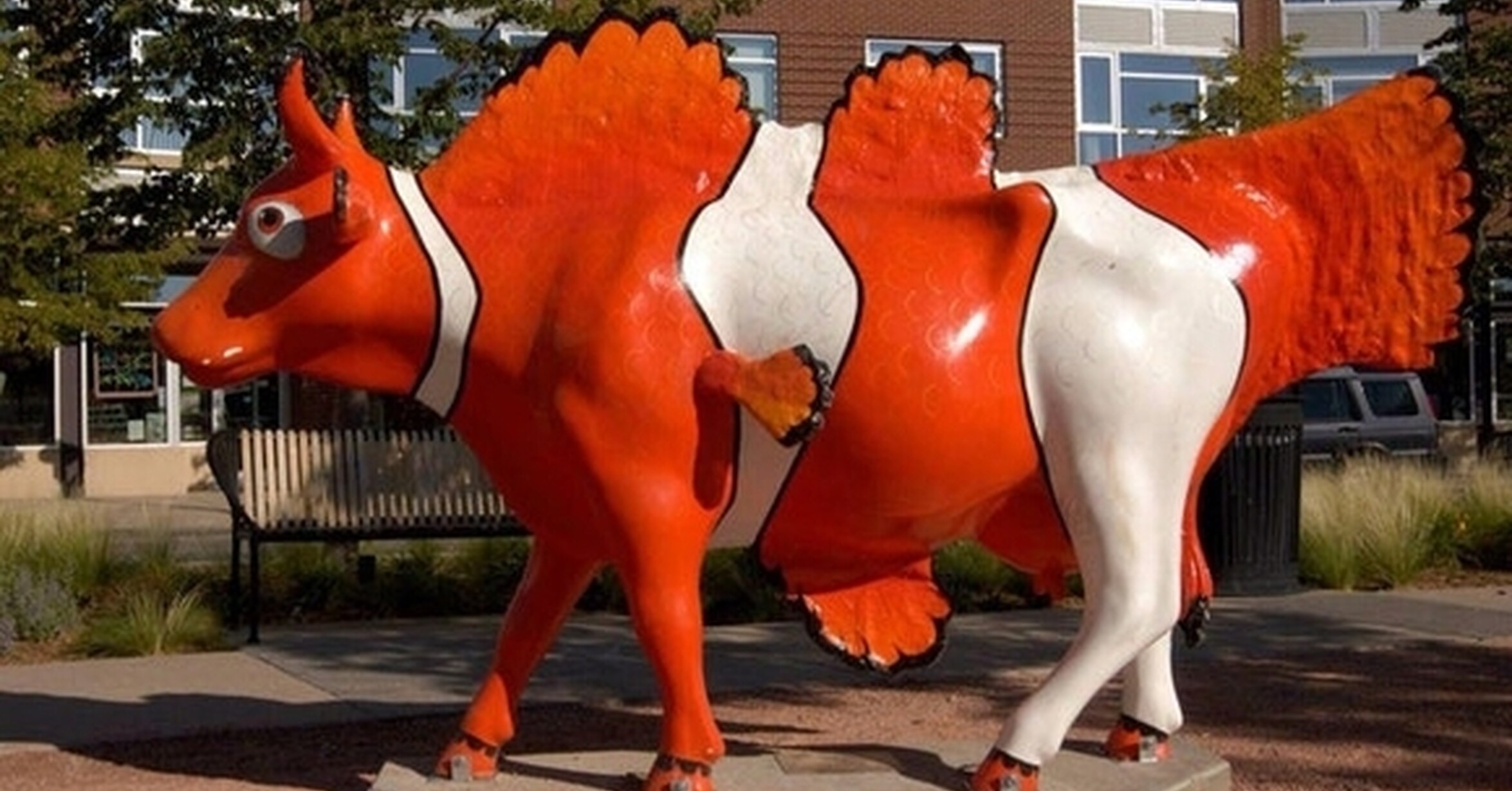 ¡Cuánta razón! / No recuerdo así a Nemo...