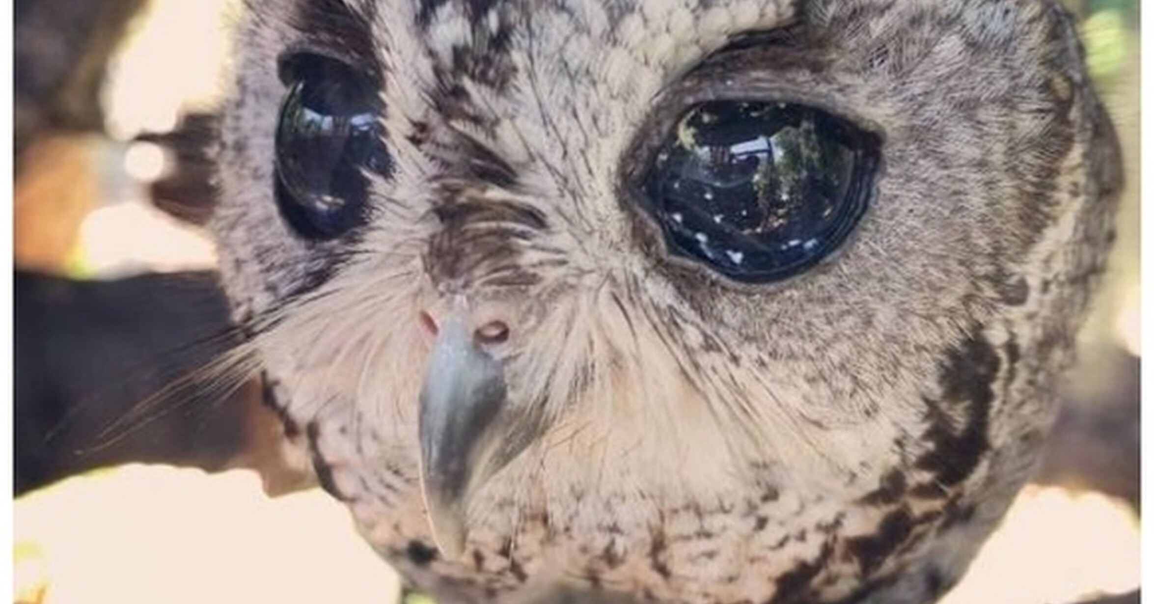 ¡Cuánta razón! / Imágenes de naturaleza que muestran lo inusual que ...