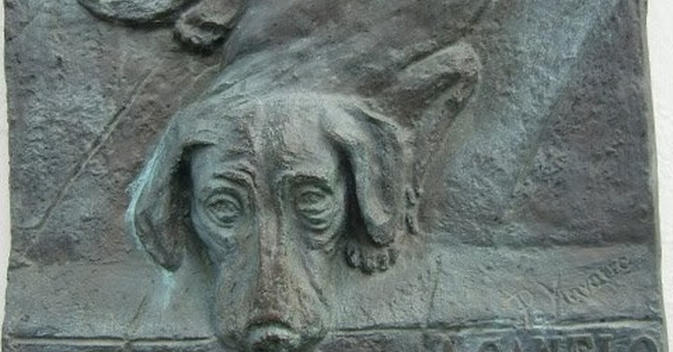 ¡Cuánta razón! / El Hachiko español