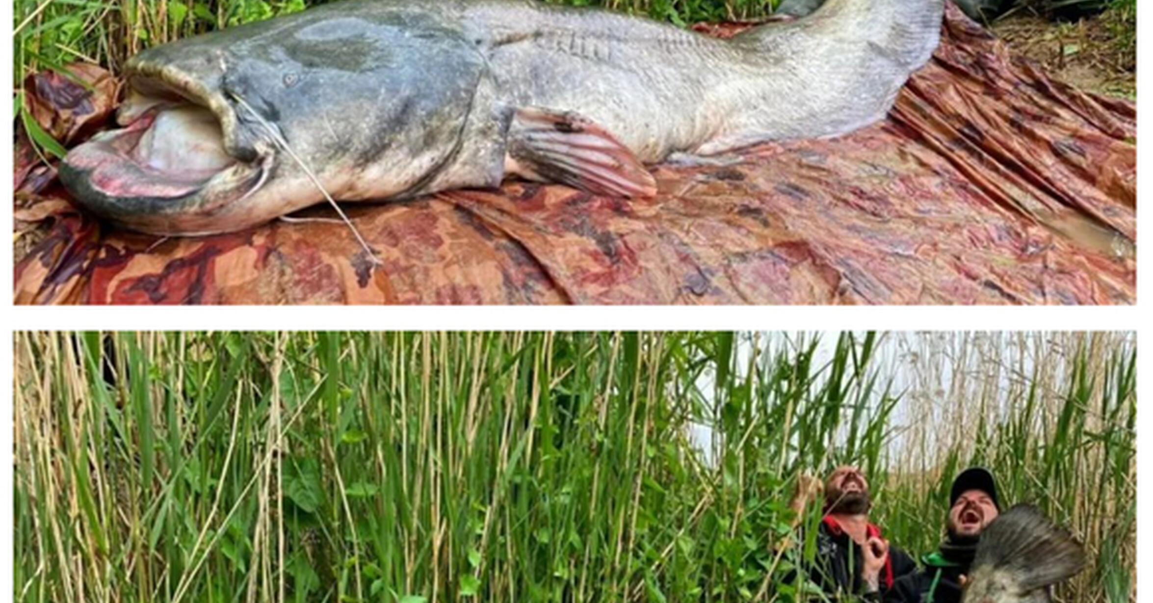 ¡Cuánta razón! / La pesca del día