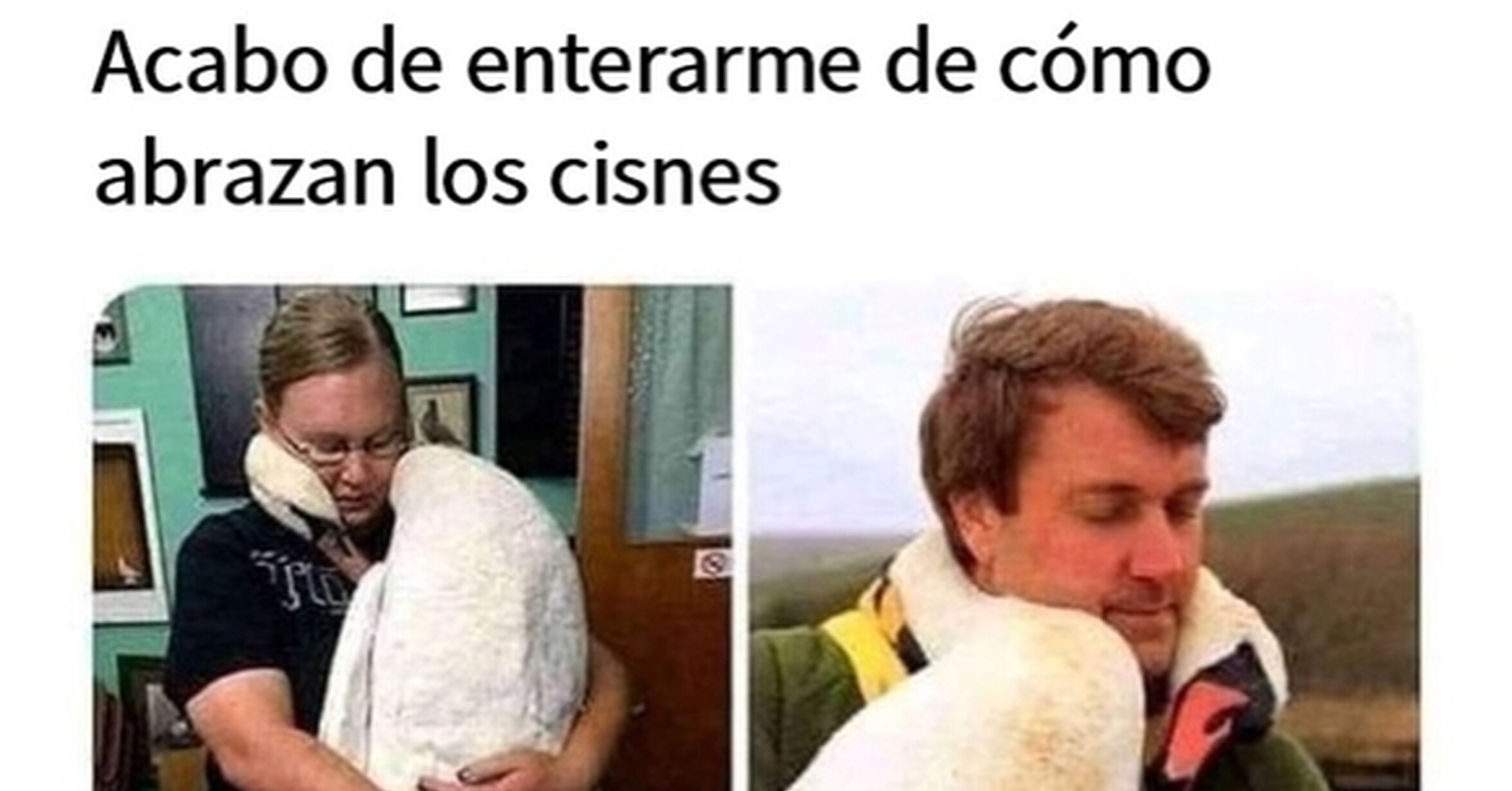 ¡Cuánta razón! / Memes reconfortantes que nos recuerdan que el mundo no ...