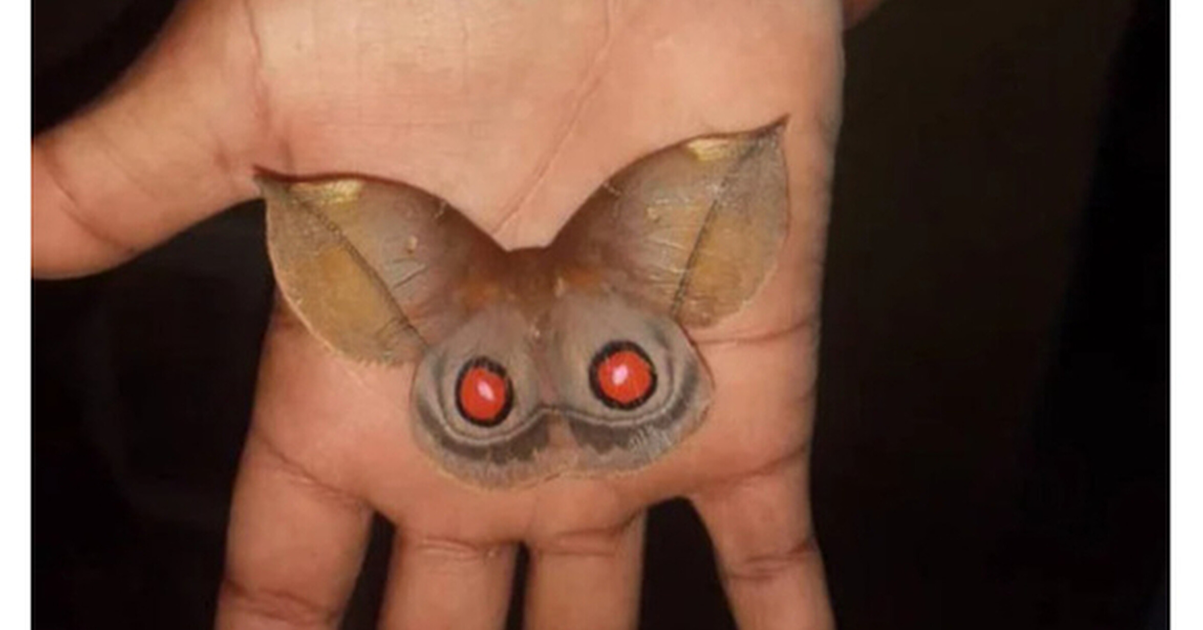 ¡Cuánta razón! / Cosas extrañas e inusuales que no sabías que existían