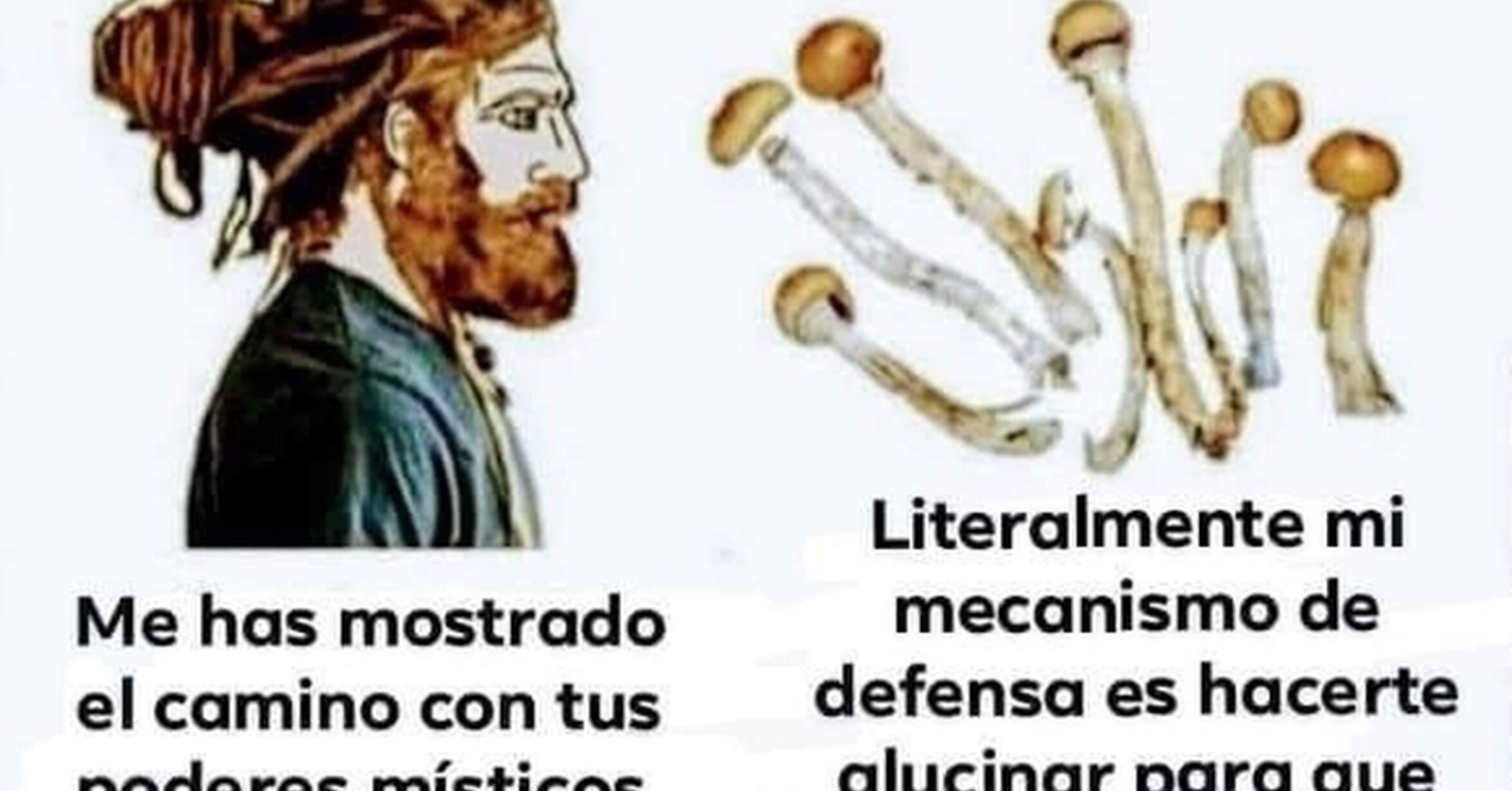 ¡Cuánta razón! / Sistema de defensa ineficaz