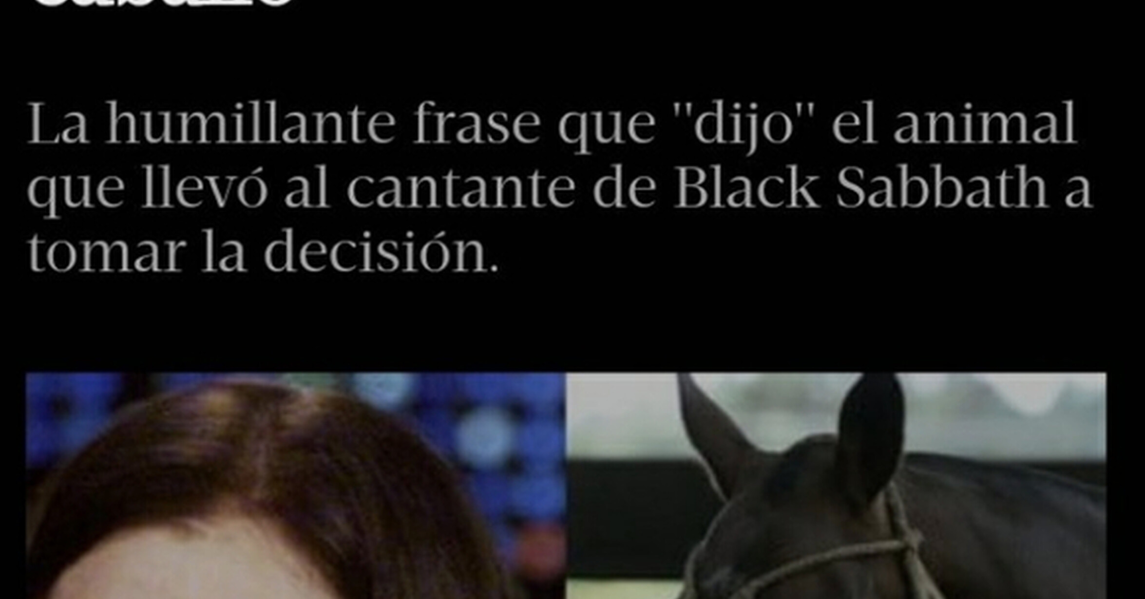 ¡Cuánta razón! / Caballos que deberían montarse un centro de ...