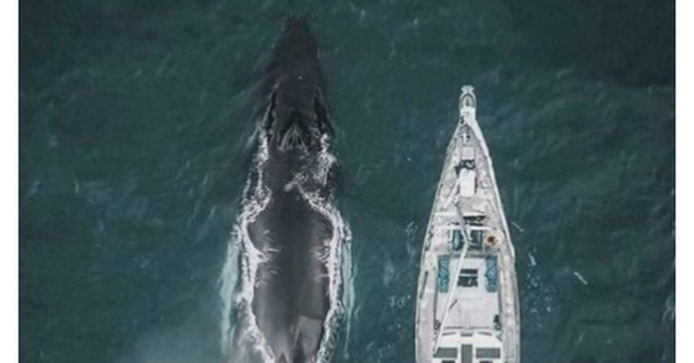 ¡Cuánta razón! / Cosas raras, maravillosas y extrañas que hay en el mundo