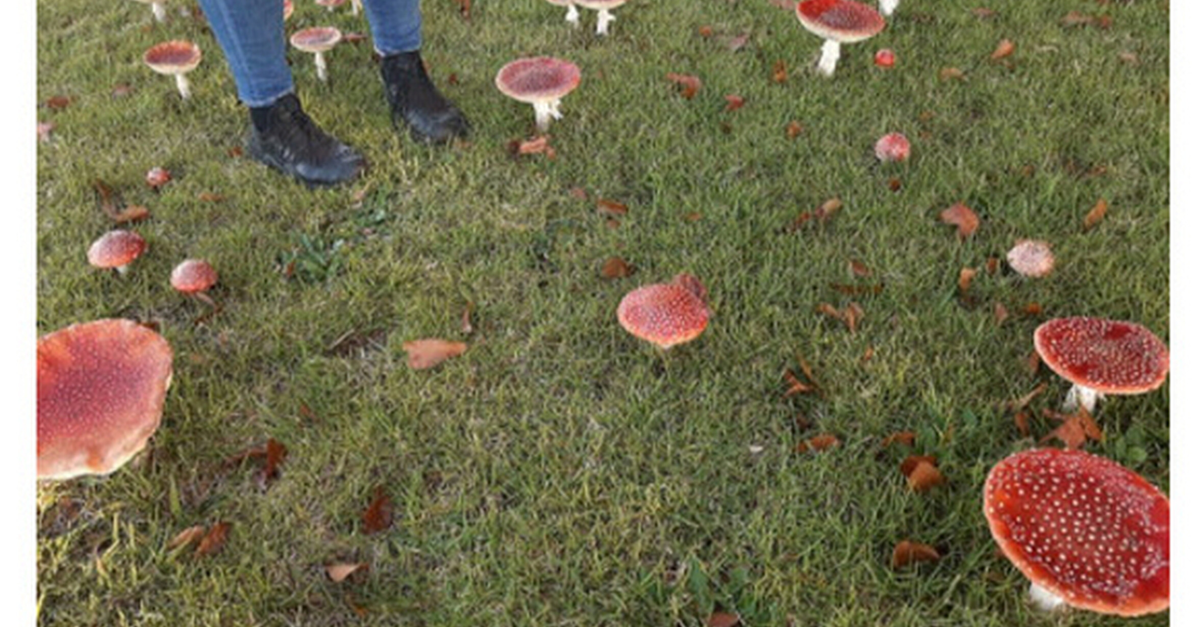 ¡Cuánta razón! / Situaciones inusuales que no se ven todos los días