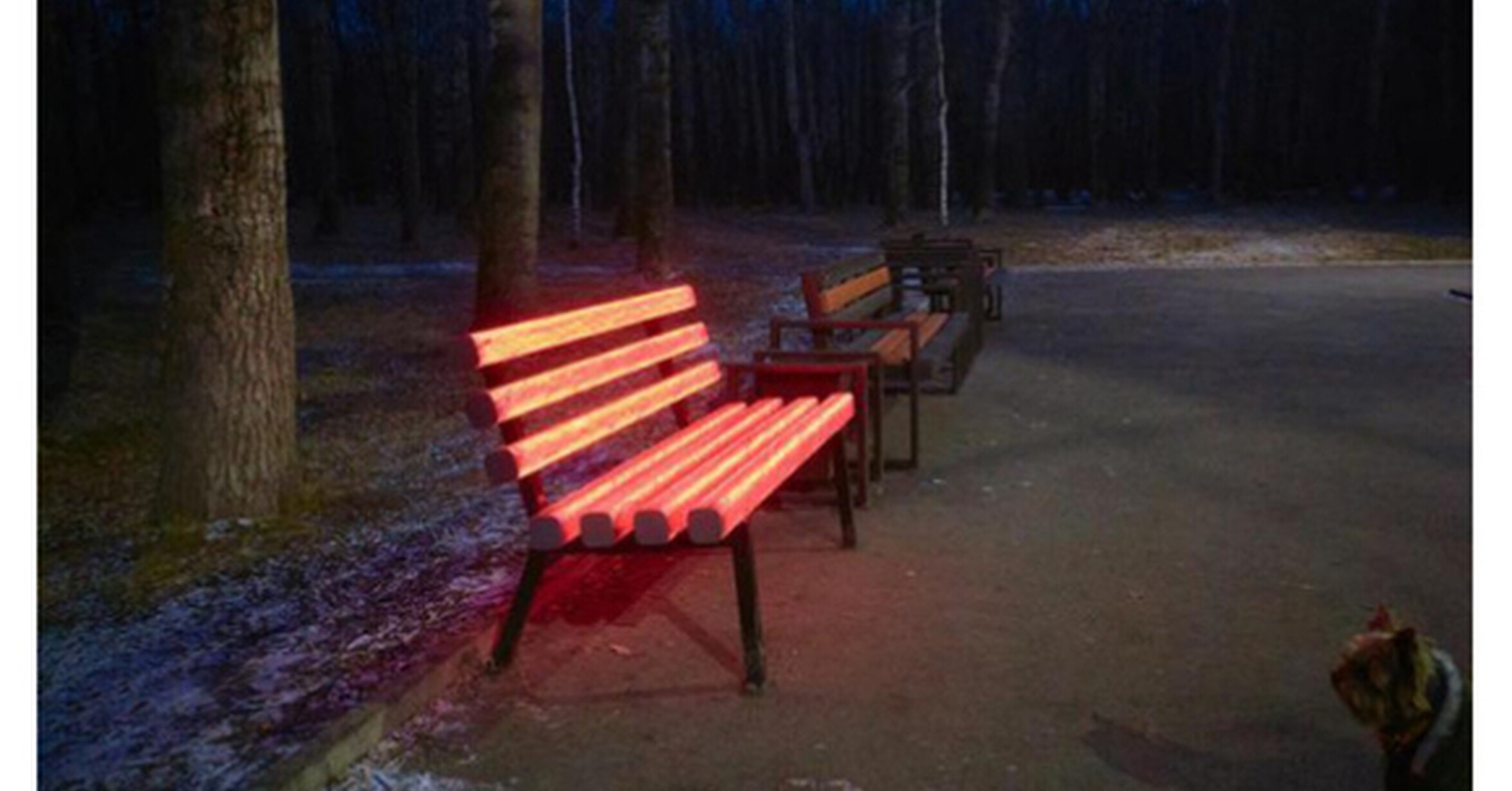 ¡Cuánta razón! / Fotos que muestran que el mundo todavía tiene cosas ...