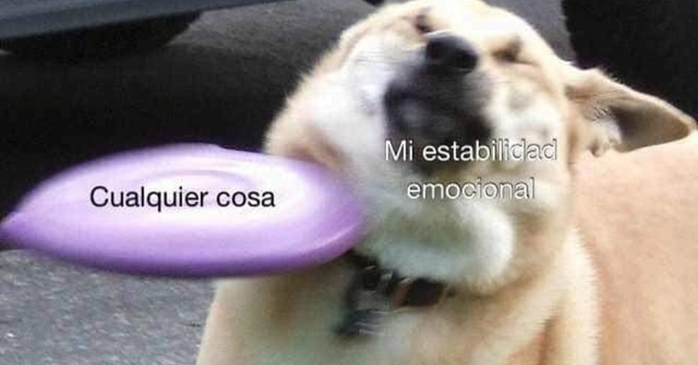 ¡Cuánta razón! / Estabilidad inestable