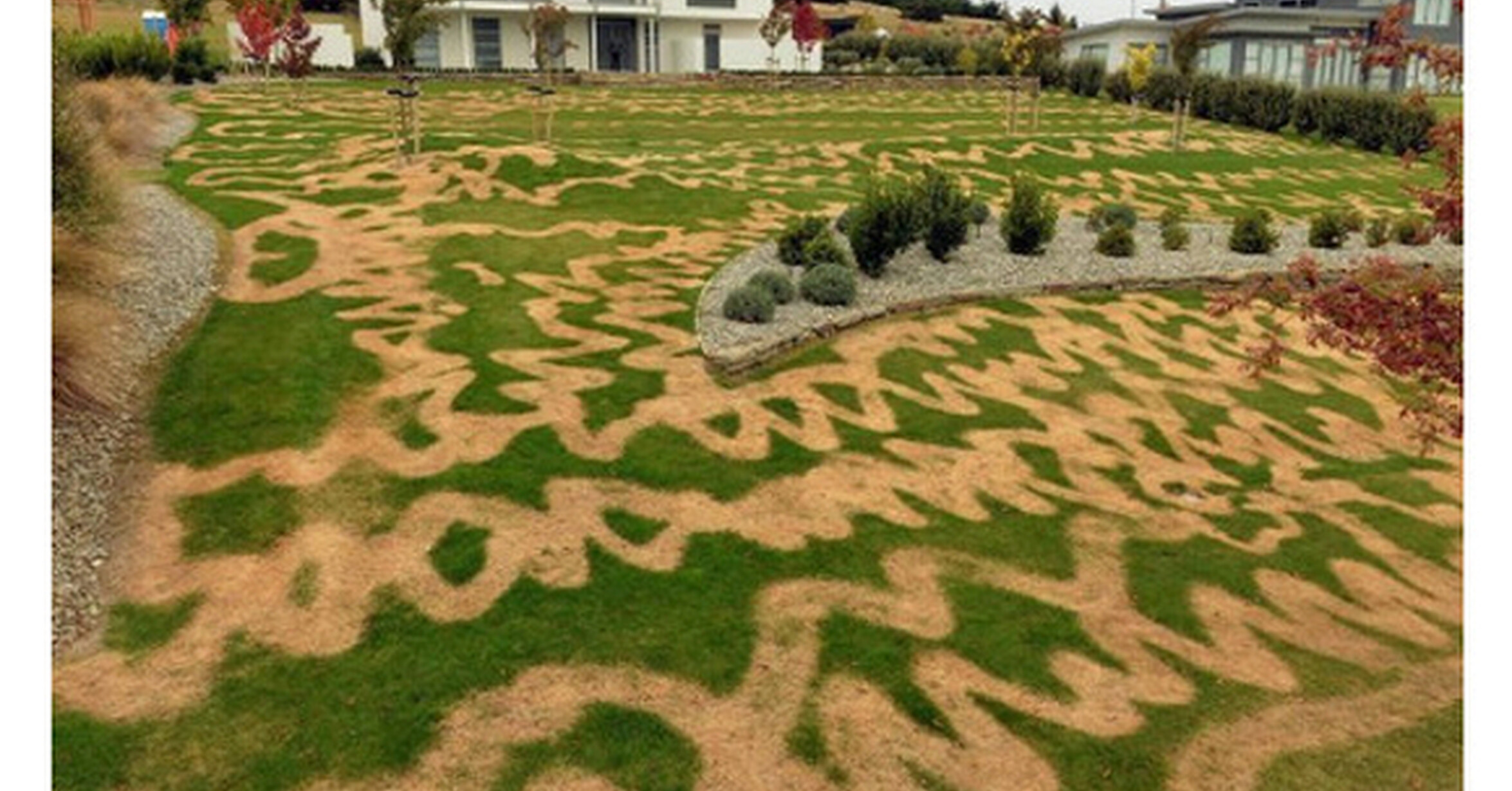 ¡Cuánta razón! / Personas que son la perfecta definición de tener un ...