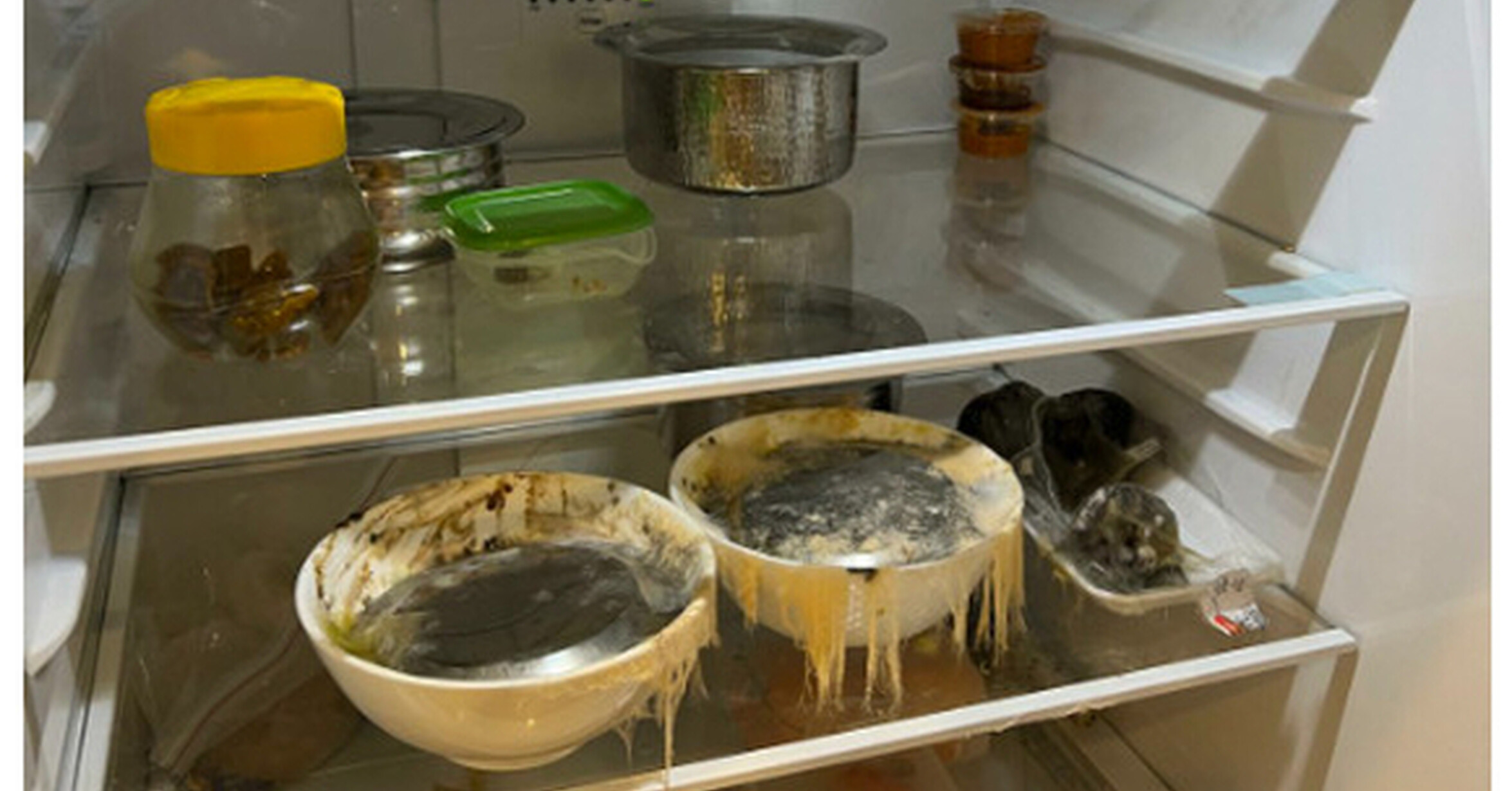 ¡Cuánta razón! / Personas que tuvieron un día pésimo