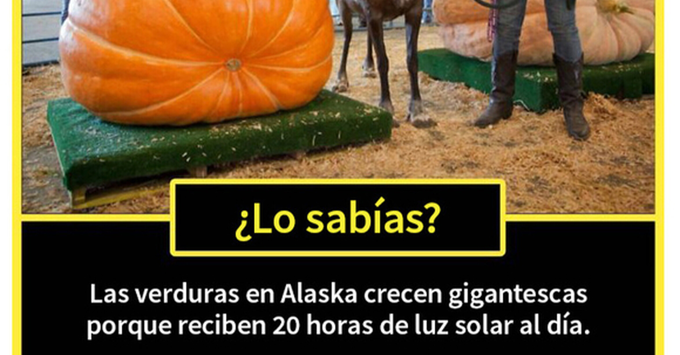 ¡cuánta Razón Datos Interesantes Sobre El Mundo Que Quizá No