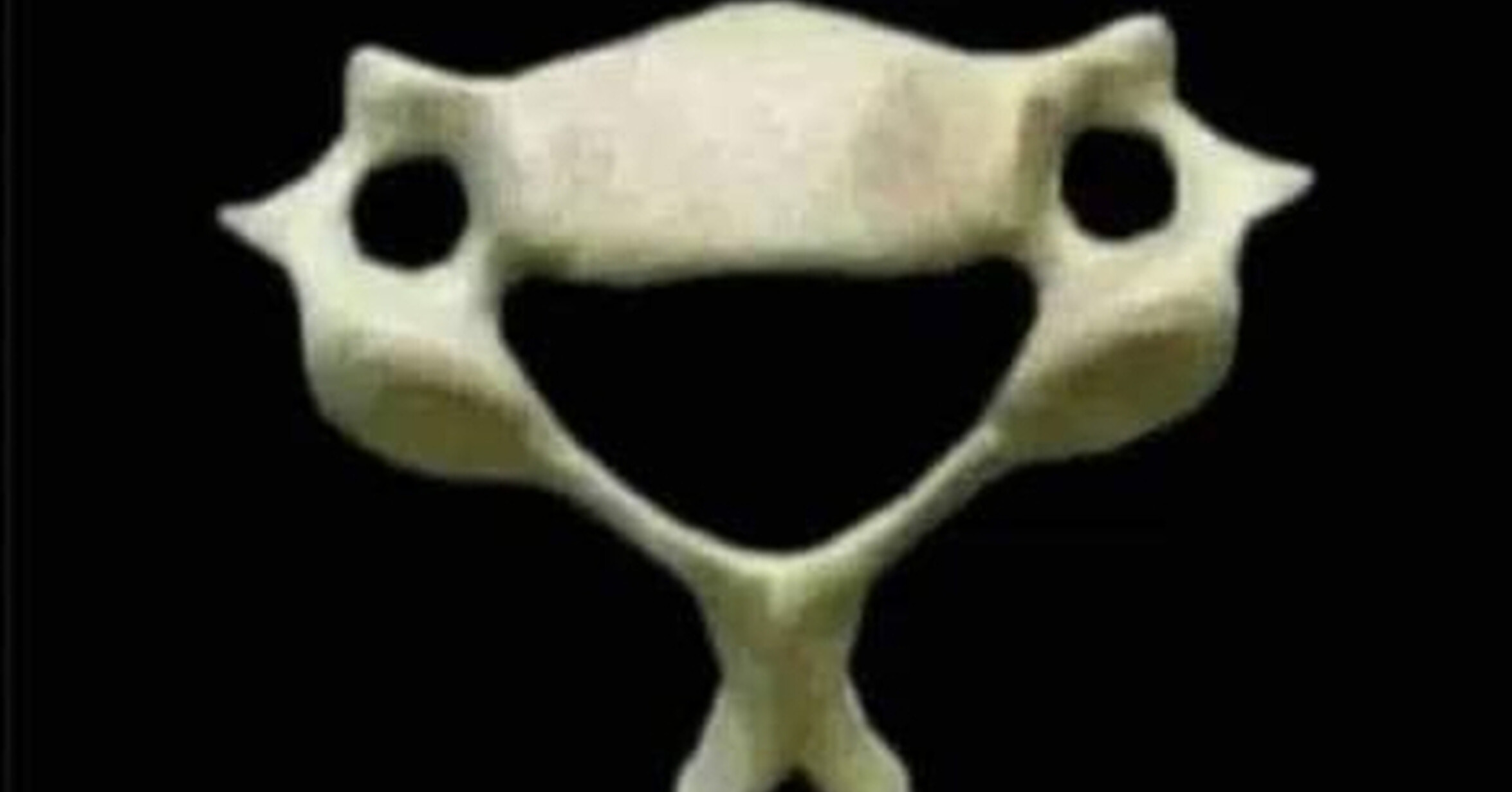 ¡Cuánta razón! / Vértebra feliz