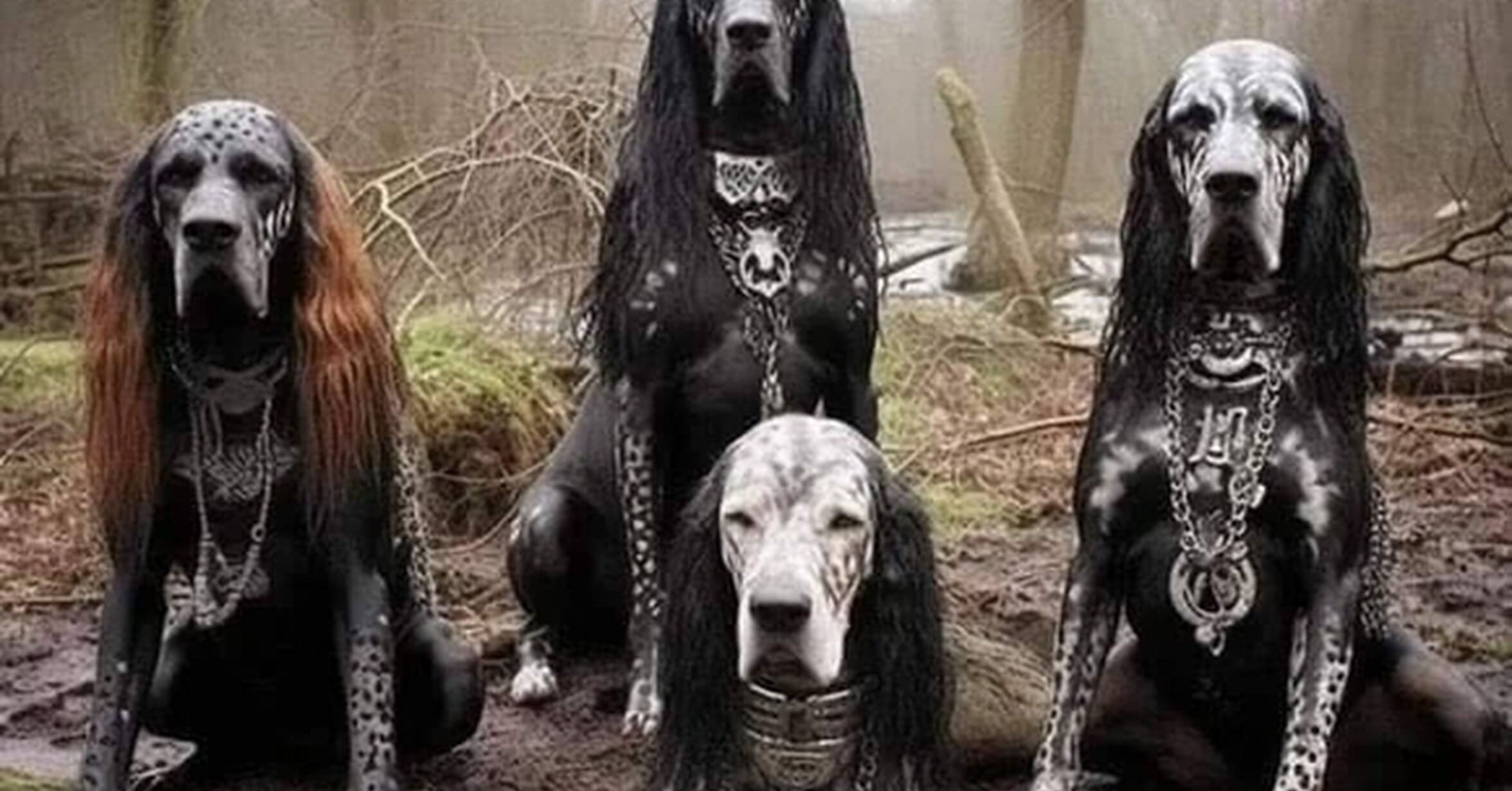 ¡Cuánta razón! / Perros metaleros