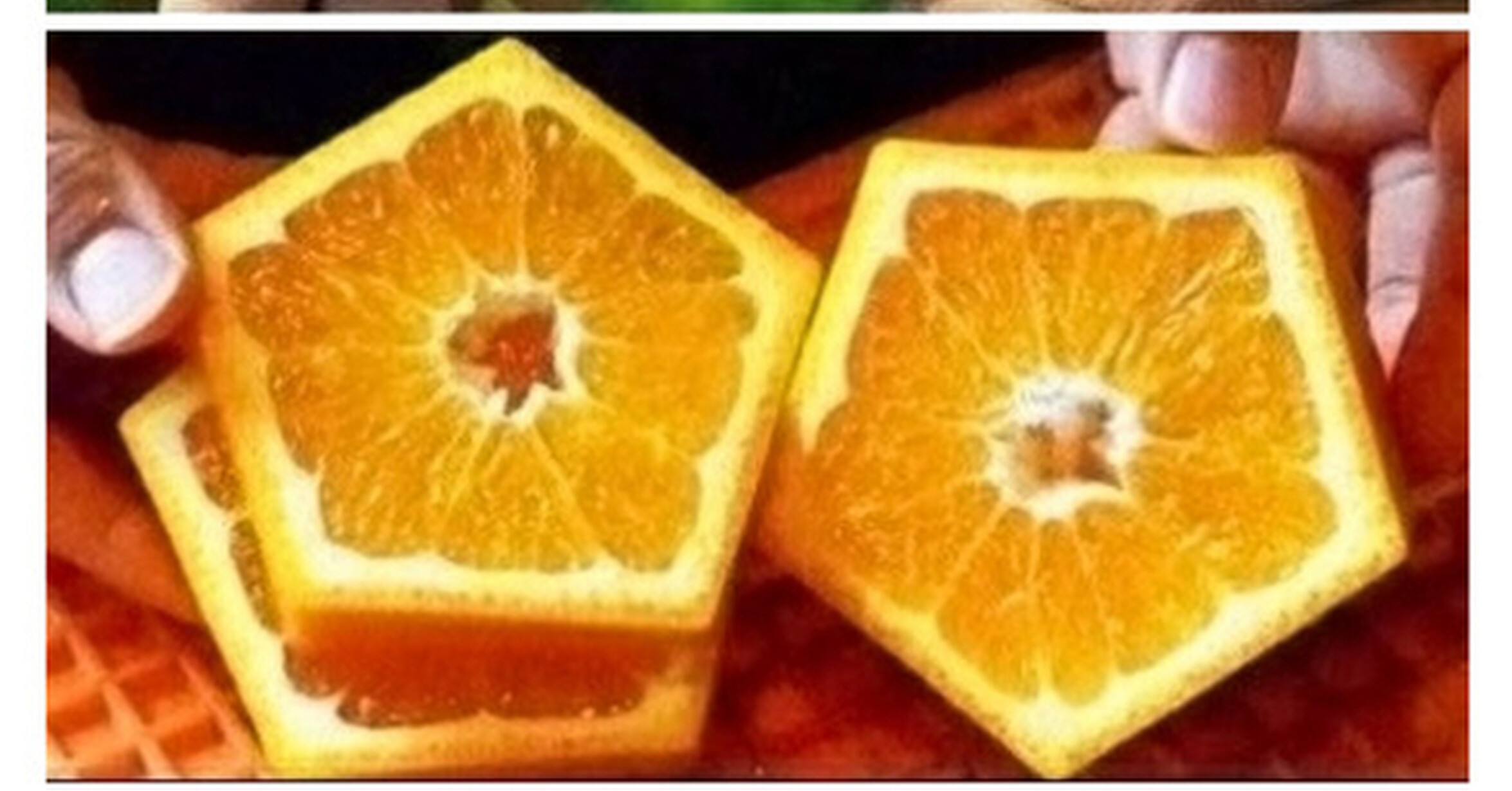 ¡Cuánta razón! / Cosas geniales que puedes encontrar en Japón