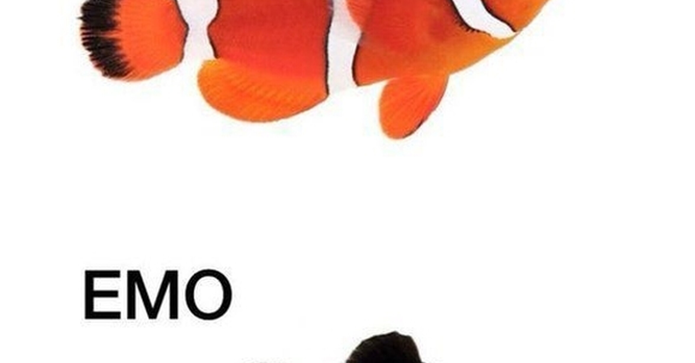 ¡Cuánta razón! / Nemo y emo