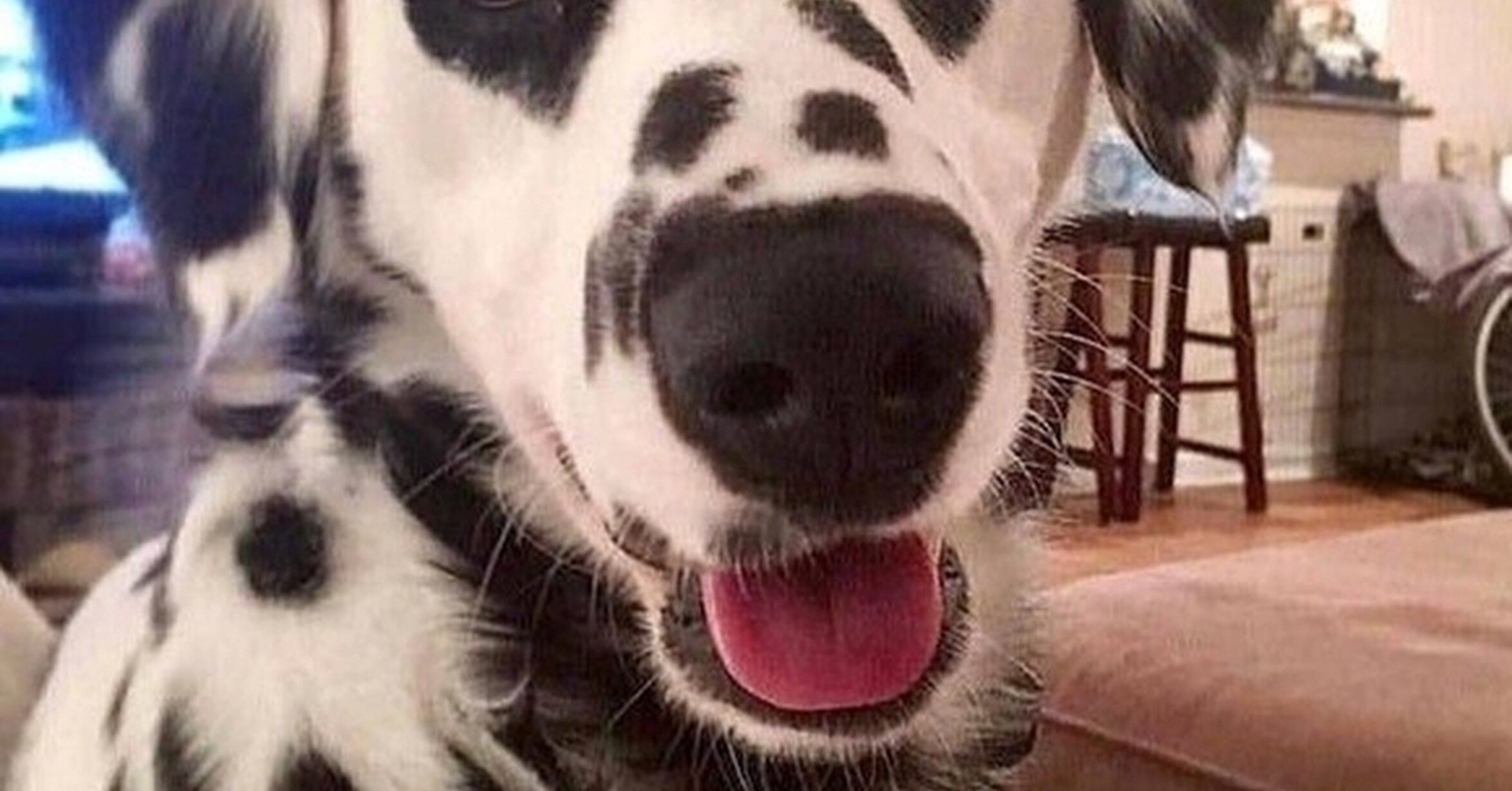 ¡Cuánta razón! / In love