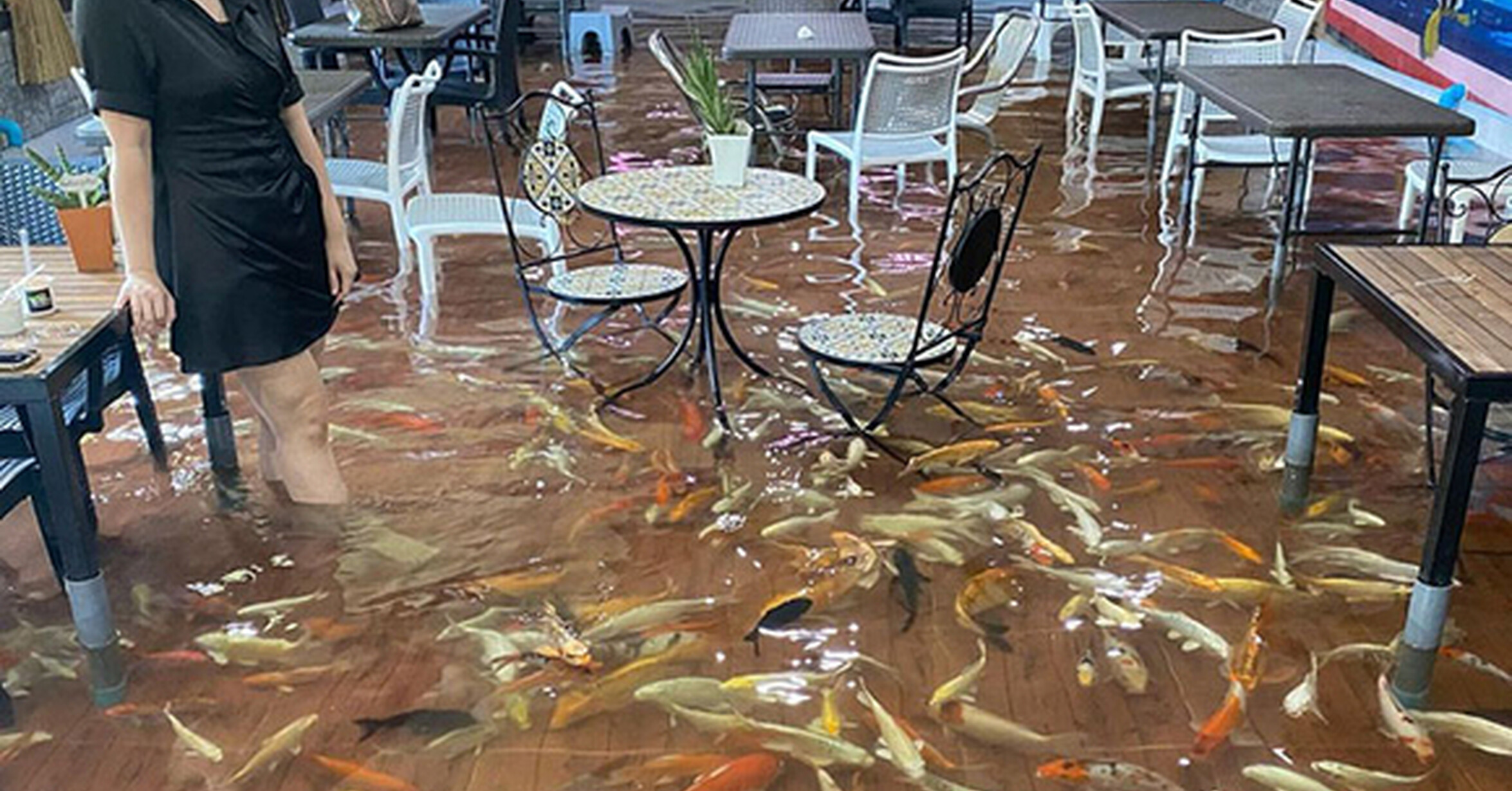 ¡Cuánta razón! / Café con peces