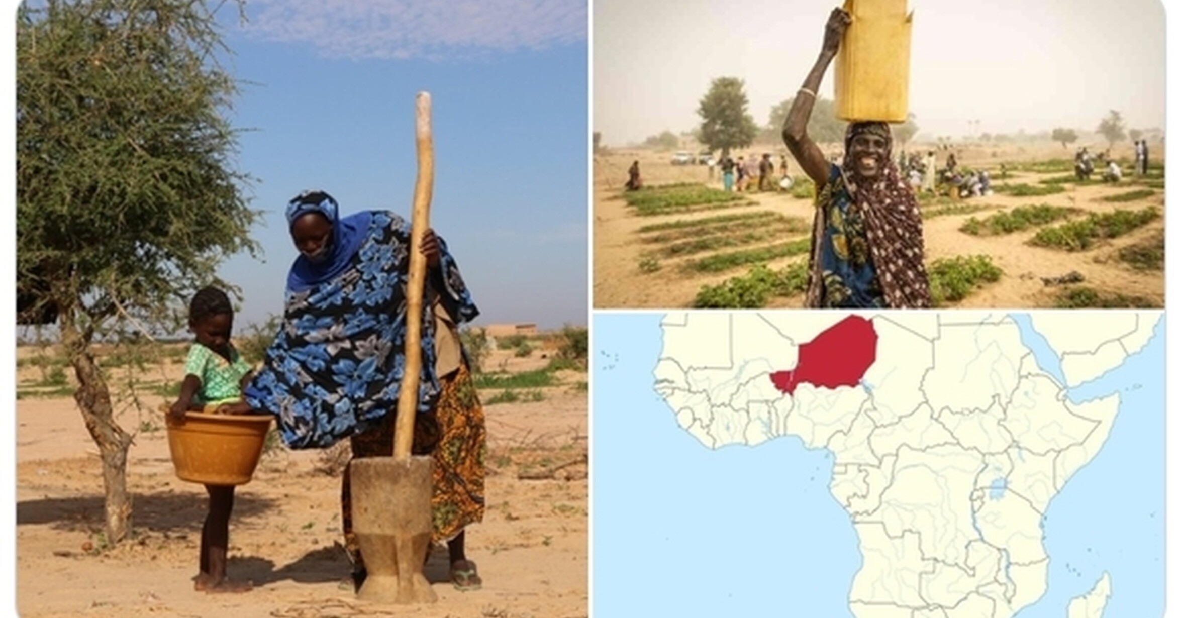 Datos interesantes sobre Níger y su historia