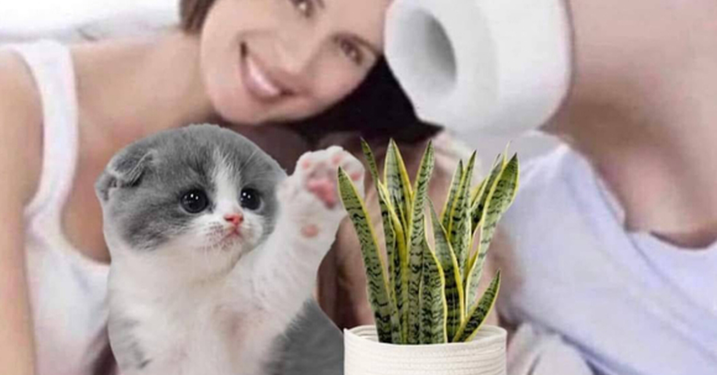 ¡Cuánta razón! / Las familias del futuro