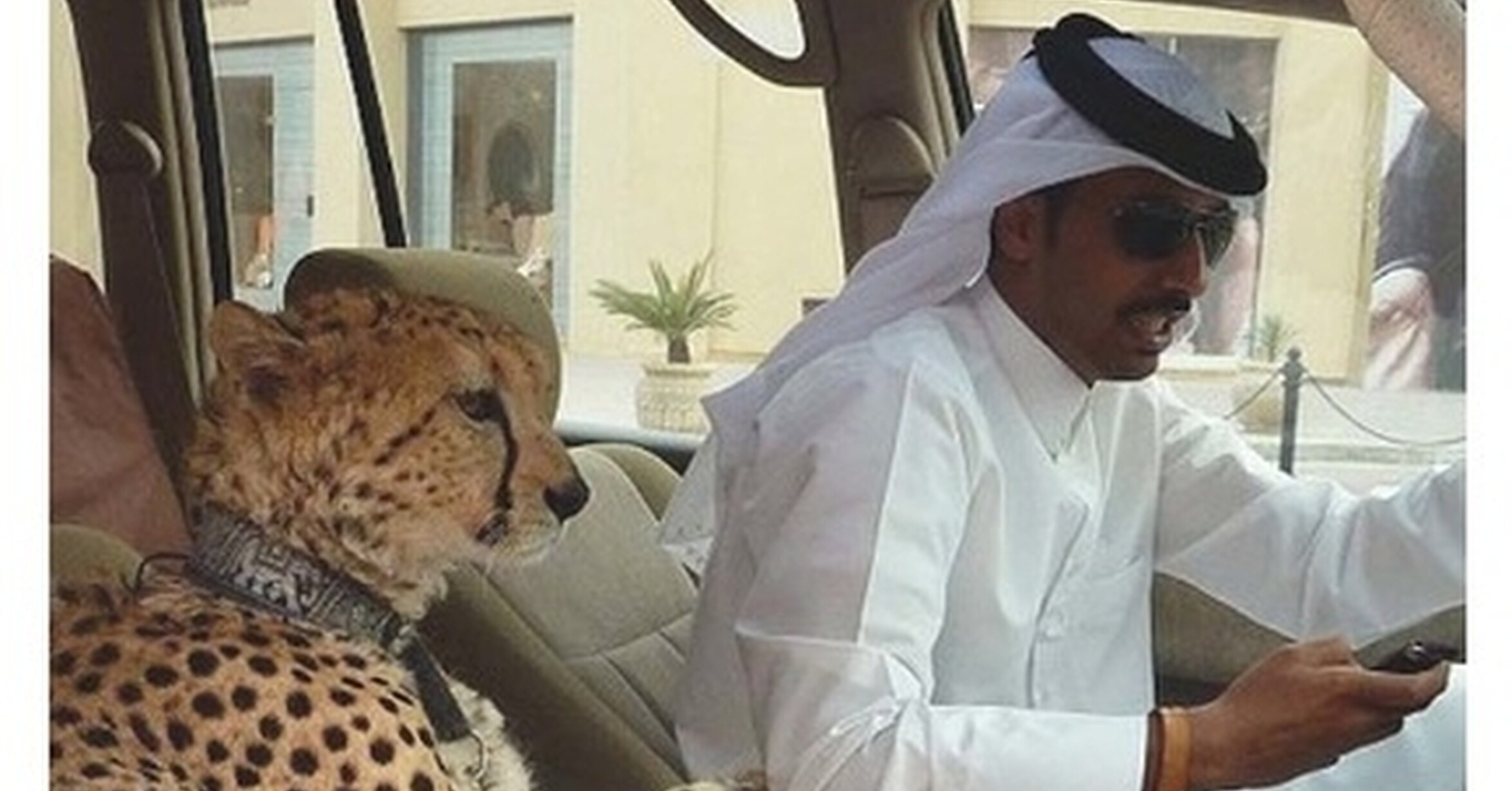 ¡Cuánta razón! / Increíbles Fotos de Dubai y la lujosa y extravagante ...