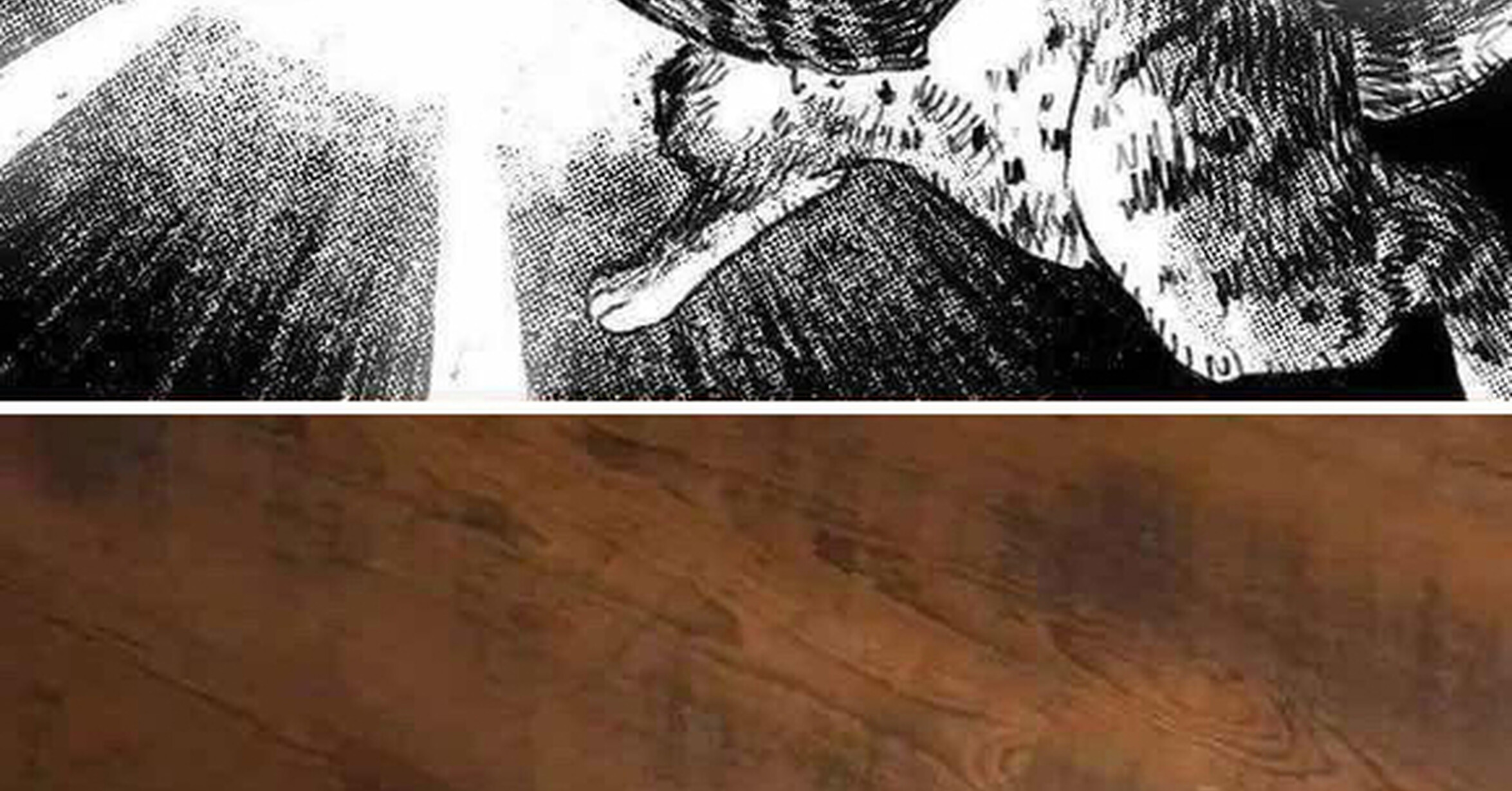 ¡Cuánta razón! / Kame Hame Ha felino