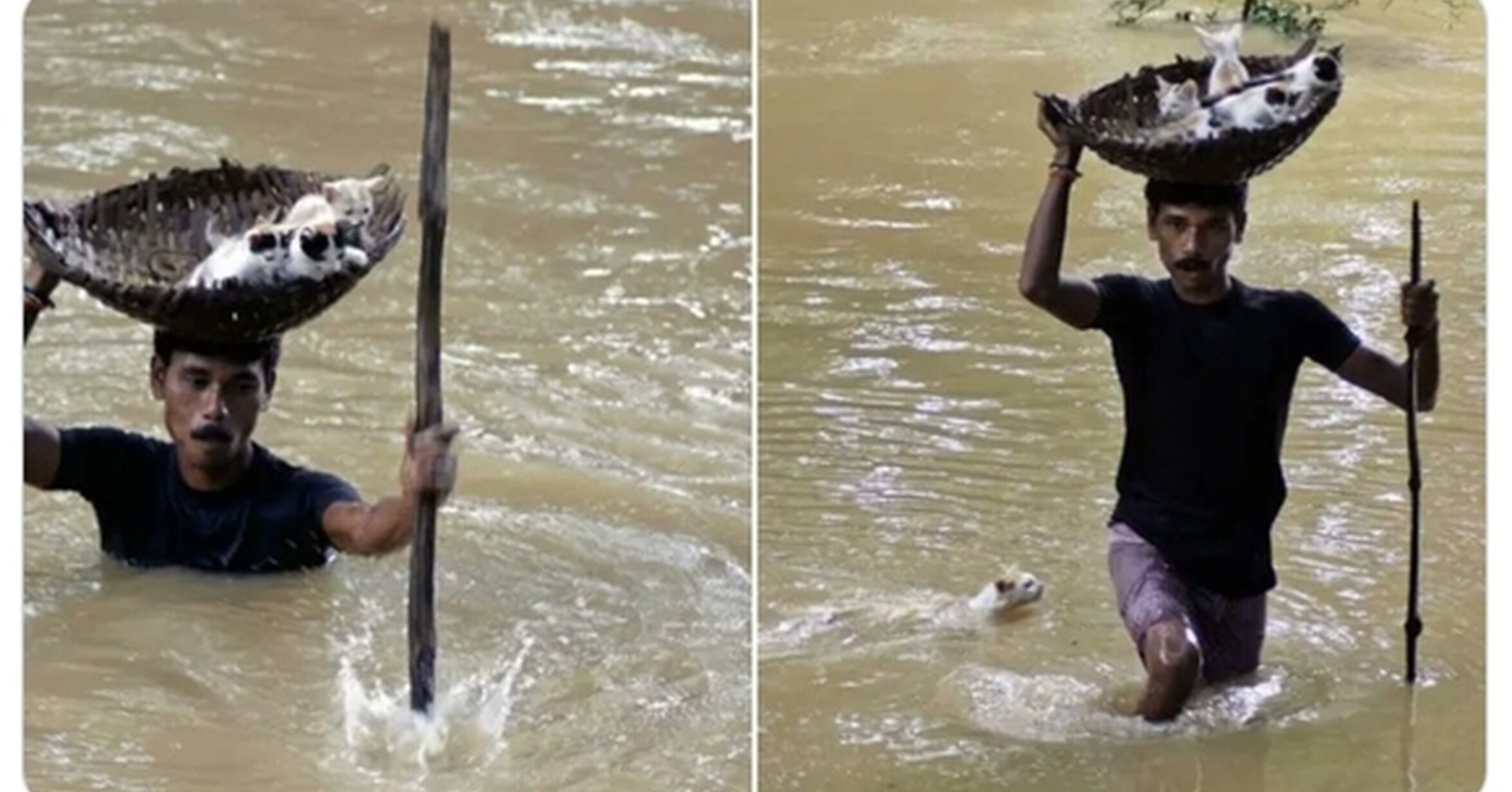 ¡Cuánta razón! / Imágenes que te devolverán la fe en la humanidad