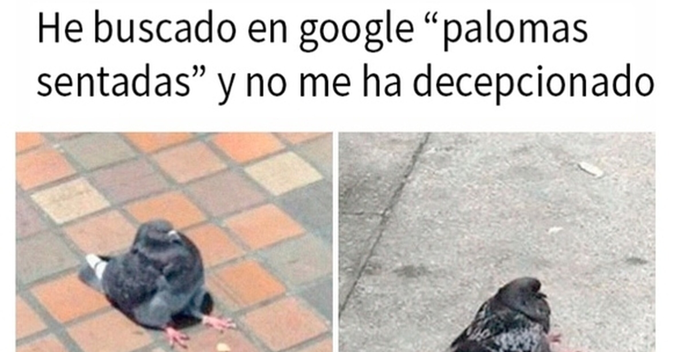 ¡Cuánta razón! / Memes divertidos y ocurrentes que te darán una razón ...