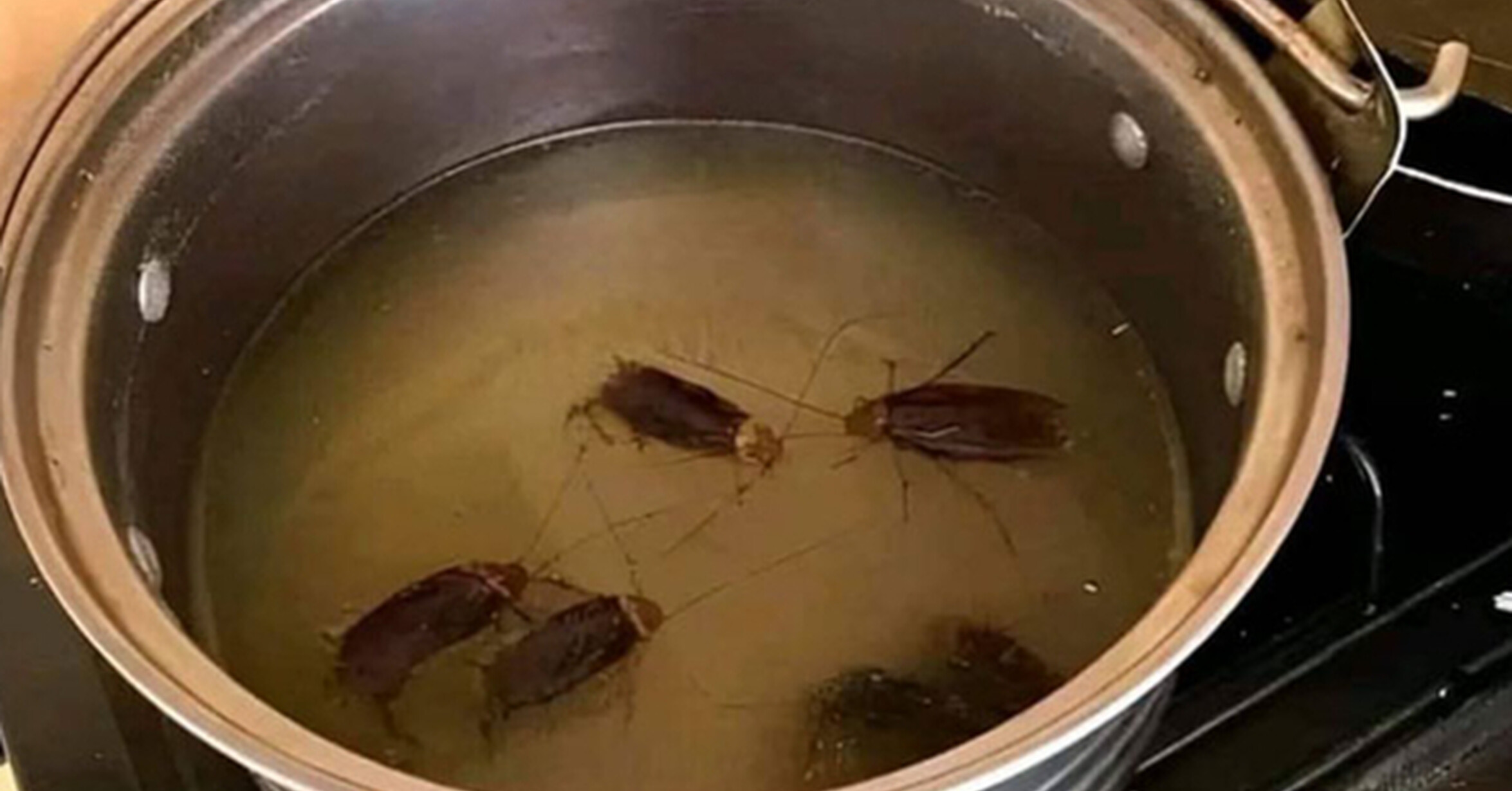 ¡Cuánta razón! / Delicia gourmet