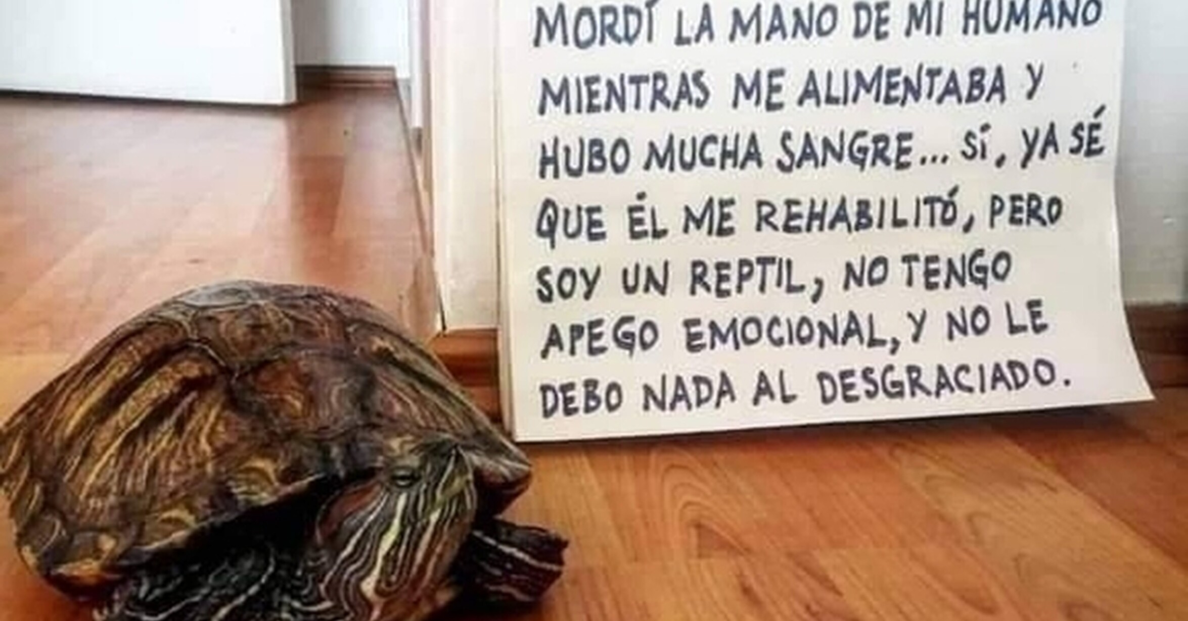 ¡Cuánta razón! / Mordió la mano que le da de comer