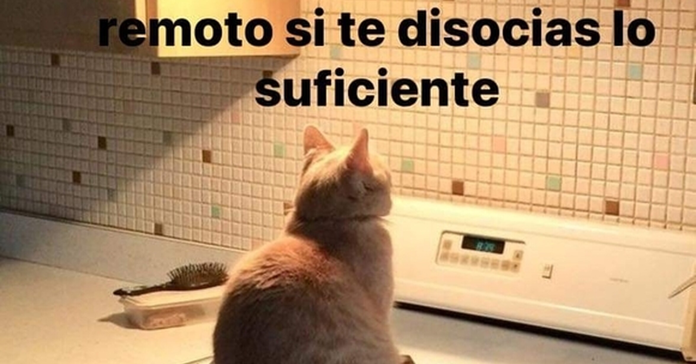 ¡Cuánta razón! / Puedes trabajar en remoto si quieres