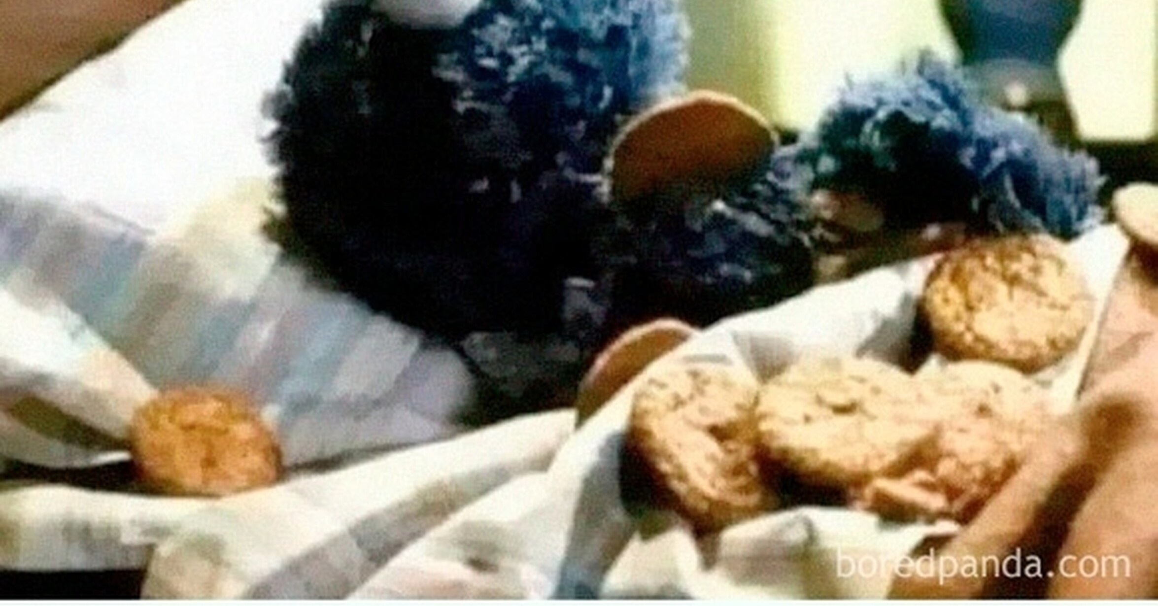 ¡Cuánta razón! / Unos cuantos memes de humor absurdo antes de empezar ...