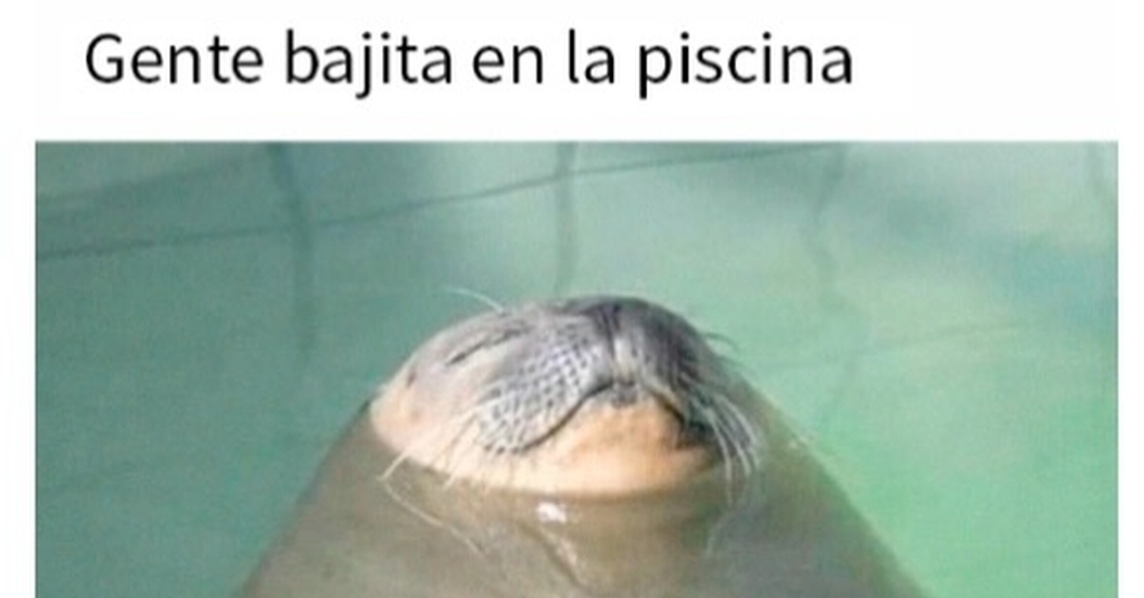 ¡Cuánta razón! / Divertidos memes por si necesitas reírte hoy