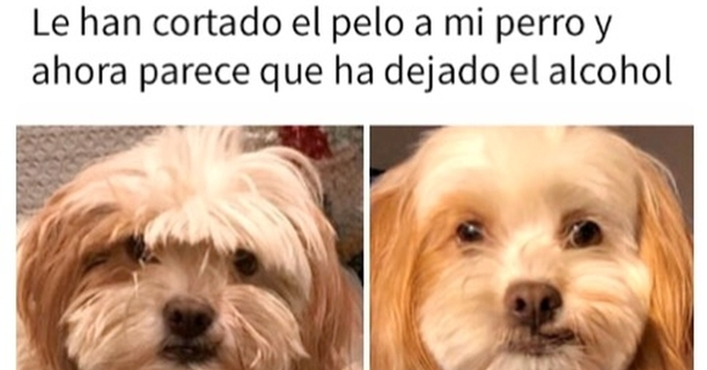 ¡Cuánta razón! / Memes divertidos que quizá te resulten familiares