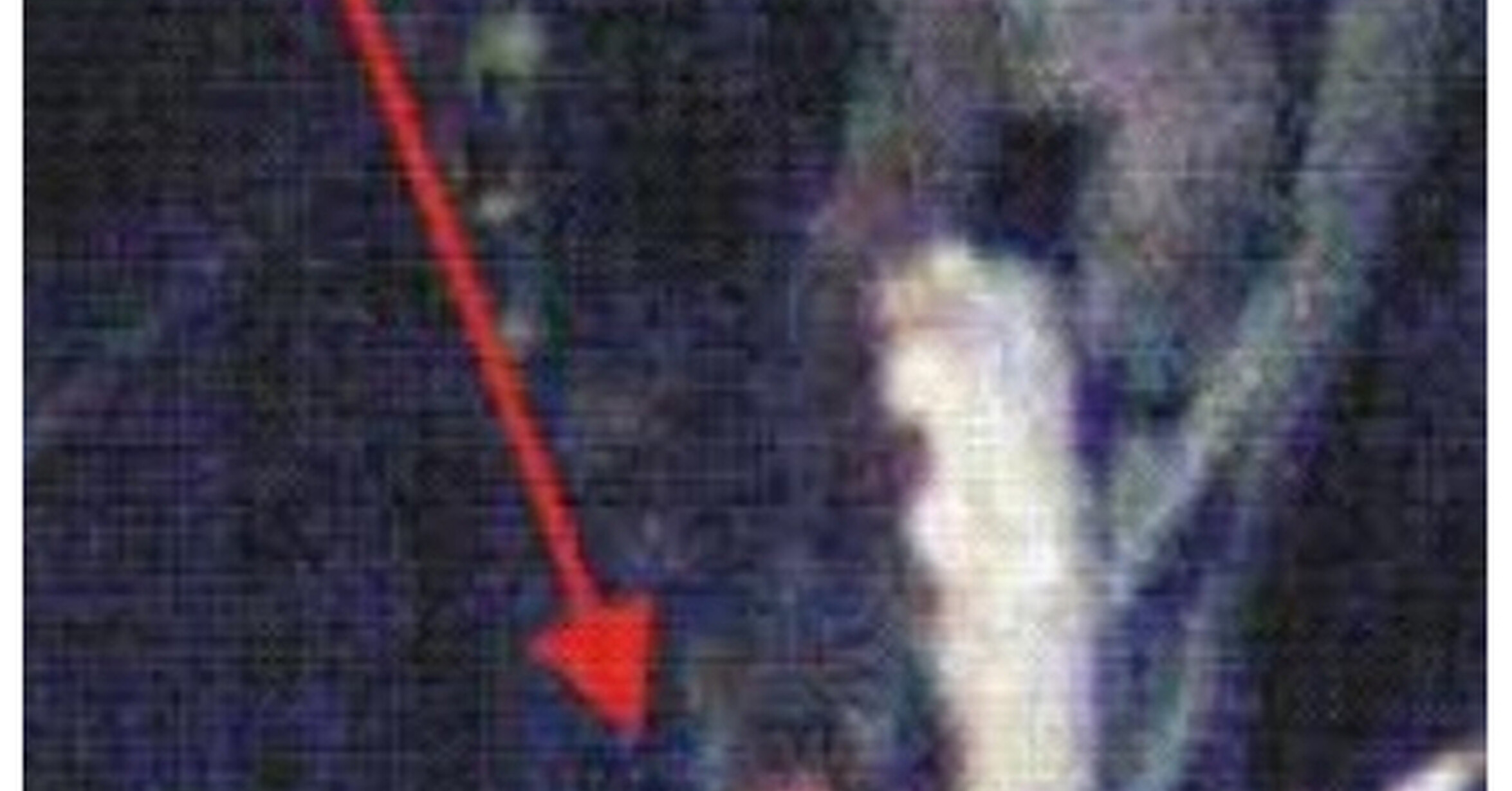 ¡Cuánta razón! / Esta sería la última fotografía de Edna Cintron, una ...