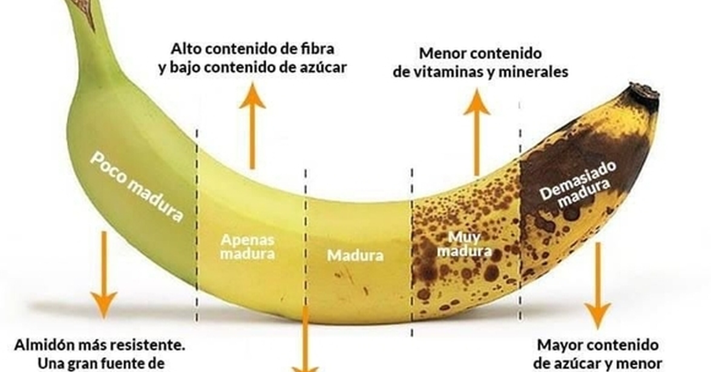 ¡Cuánta razón! / Contenido nutricional de un plátano en cada una de sus ...