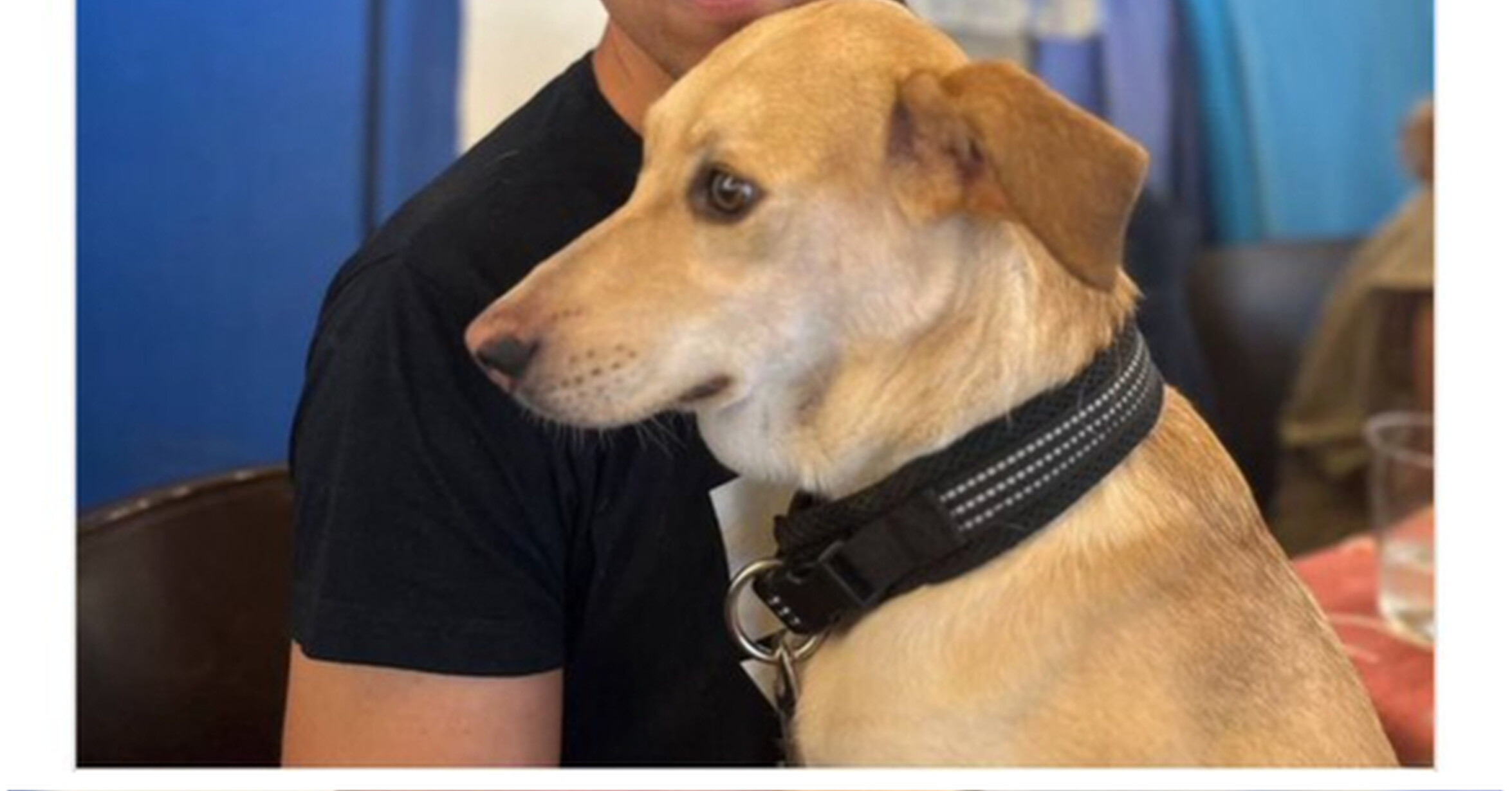 ¡Cuánta razón! / Mirada inquietante