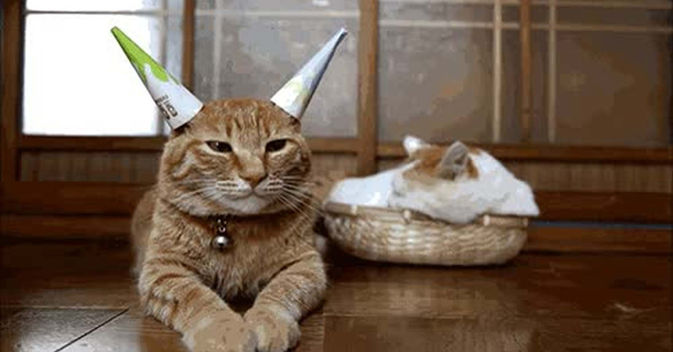 ¡Vaya GIF! / Cuando pasan estas cosas sabes que la fiesta se ha terminado