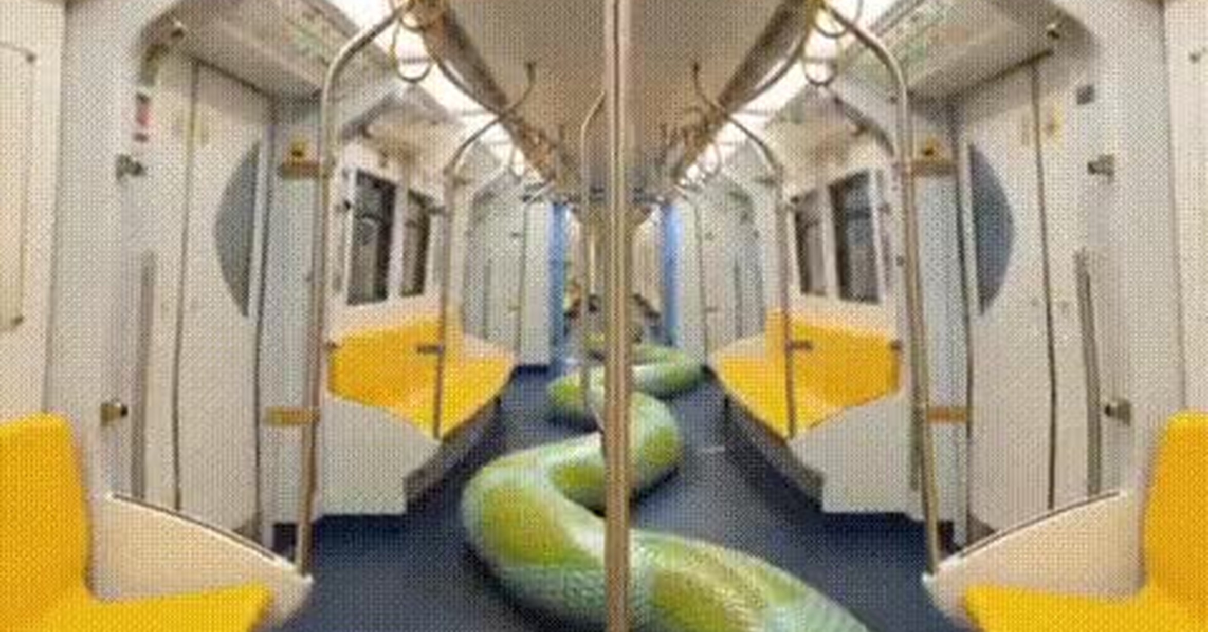¡Vaya GIF! / Snakes on a train